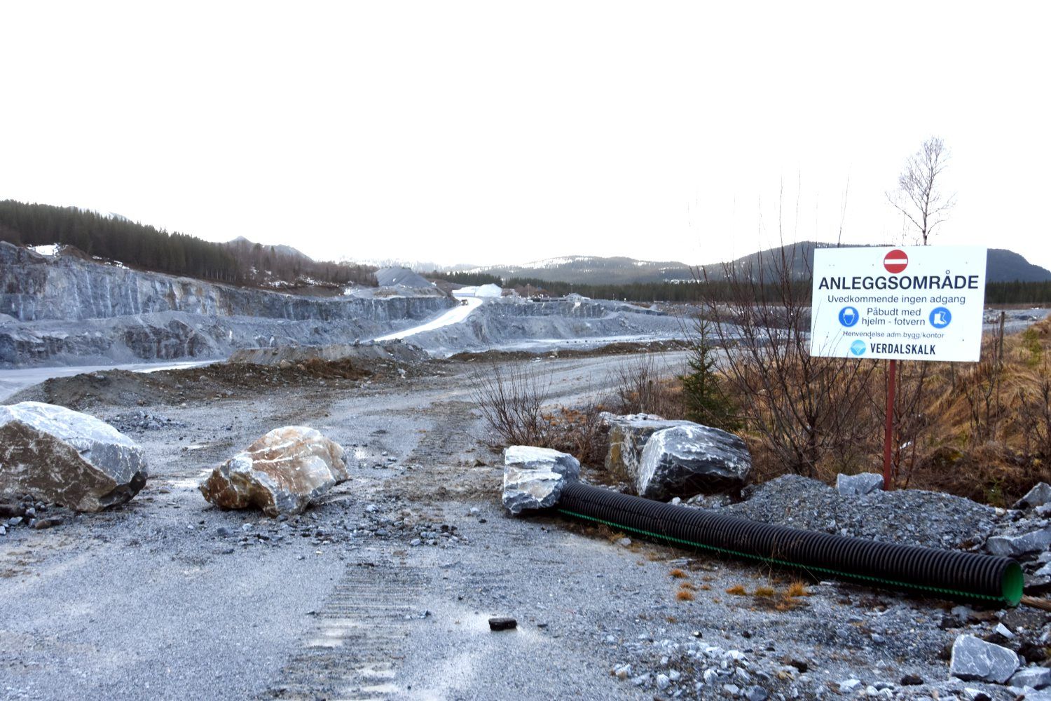 Myse fra Brønnøysund, kalkstein til Brevik og en student i lykkerus ...