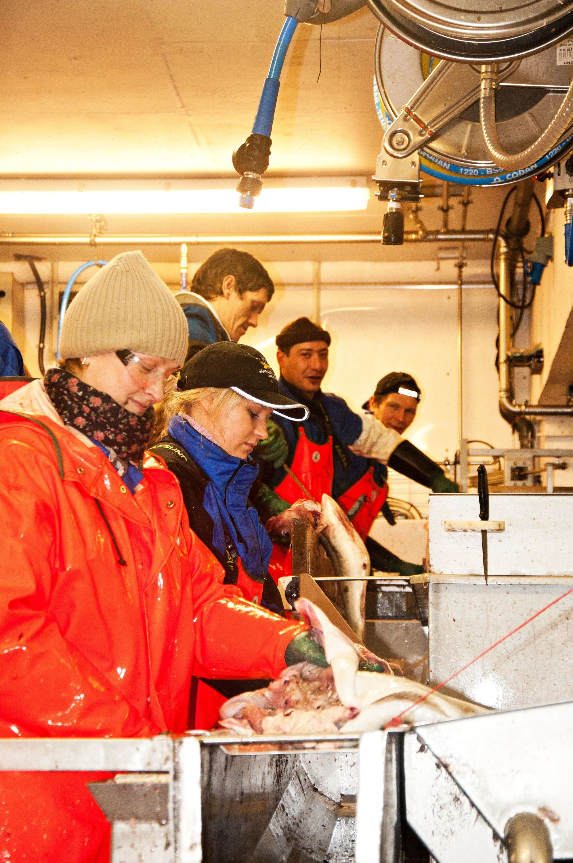 Saltfisk til Andenes - vol.no