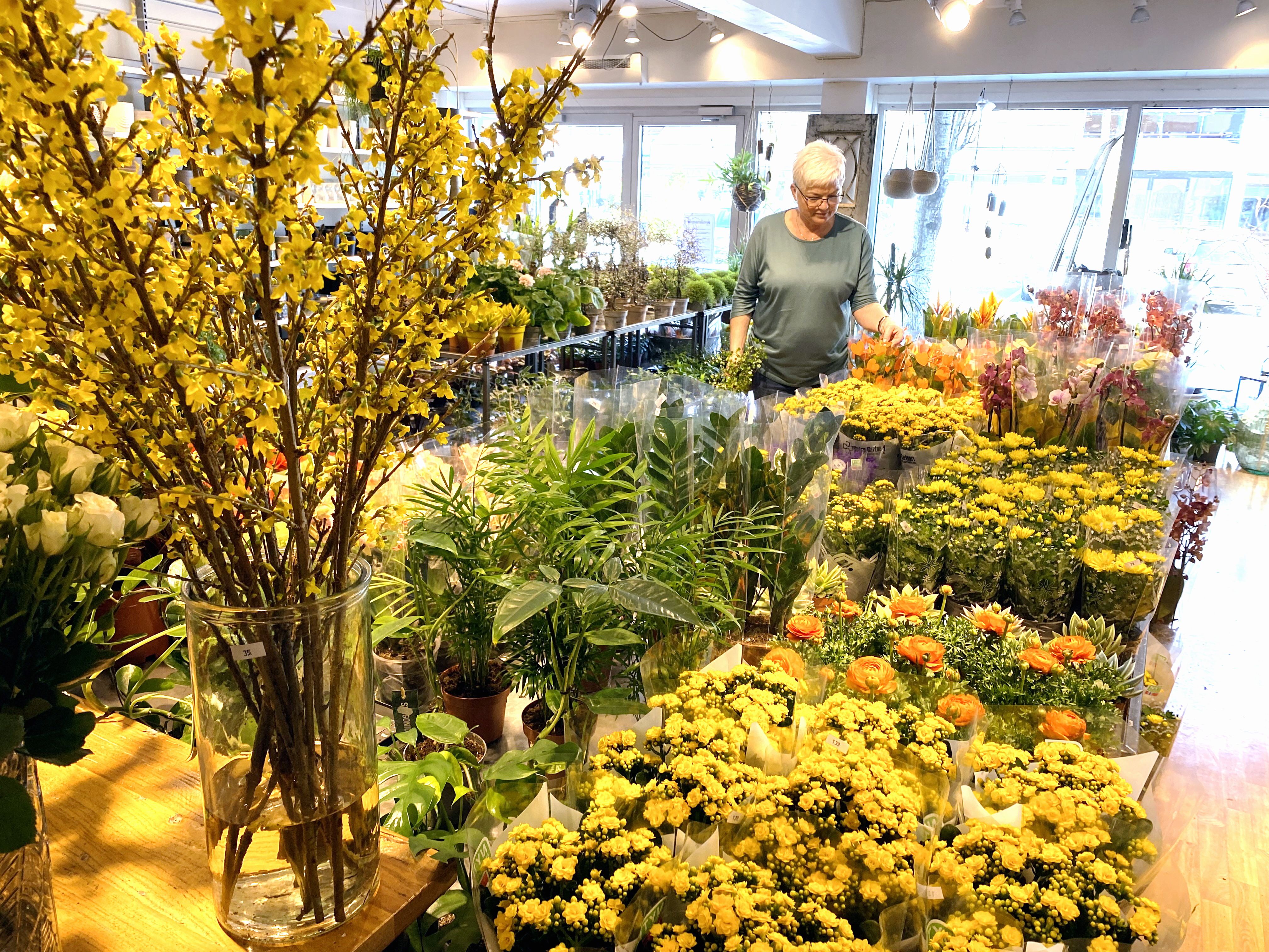 Friske fargar ute og inne - fjordingen.no