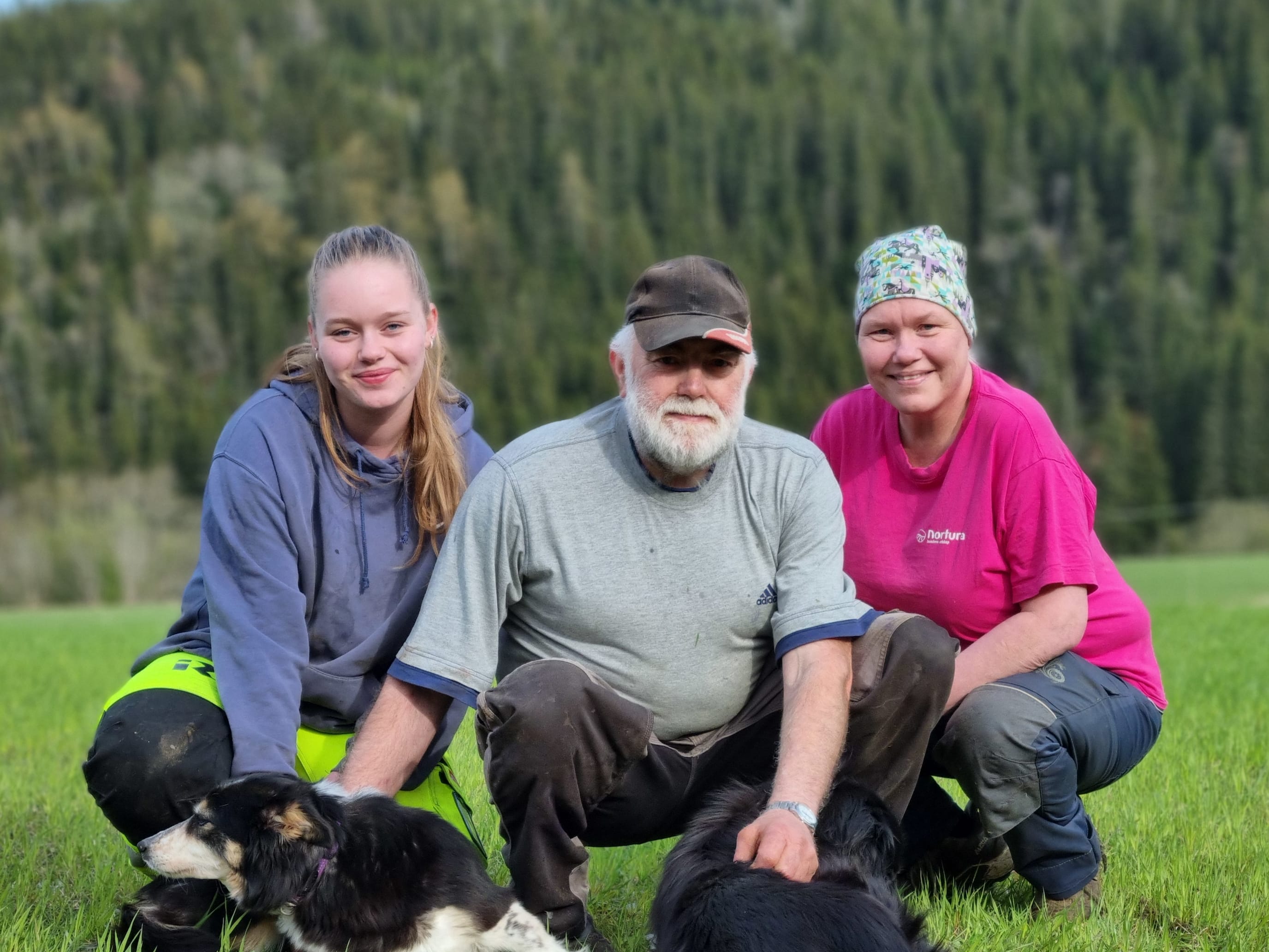 Jan Inge har vært sauebonde i 17 år. Han har ikke angret en dag på ...