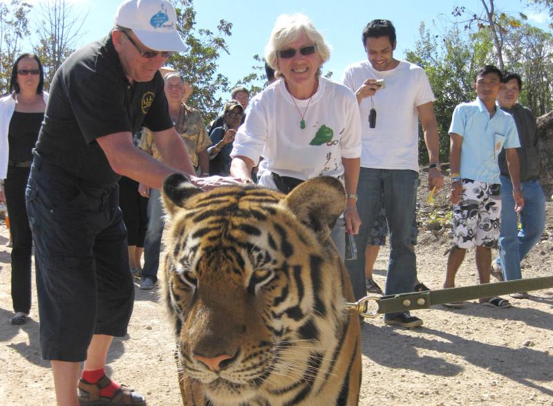 Nærkontakt med tiger - ht.no