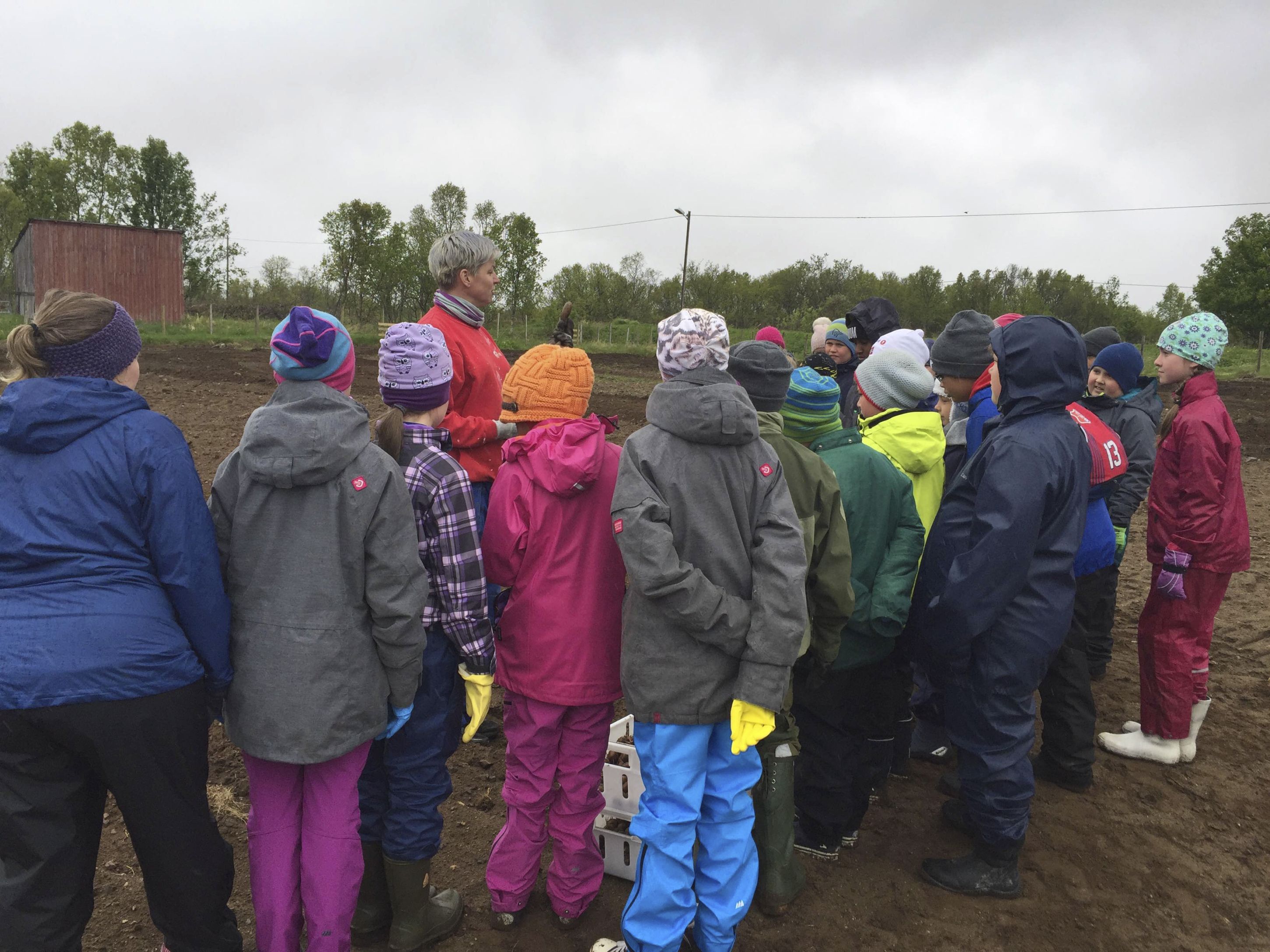 Selger poteter til inntekt for tv-aksjonen - vol.no