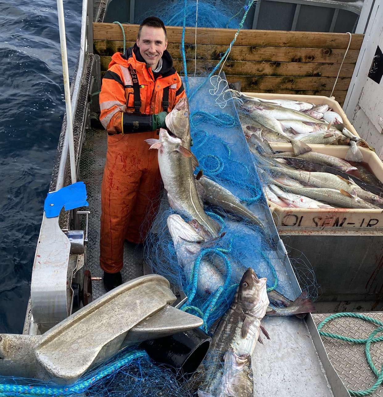 - Det spørs om det lønner seg å hente torsken - kystogfjord.no