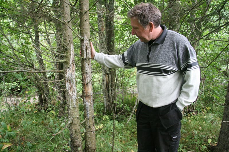 Tyver tok lyskasterne - opp.no