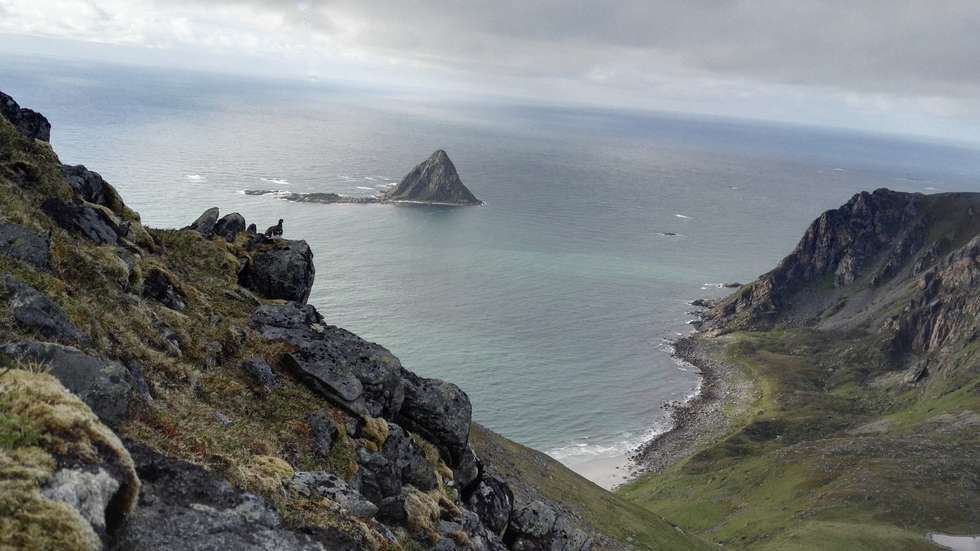 Dagen starter med regn - vol.no