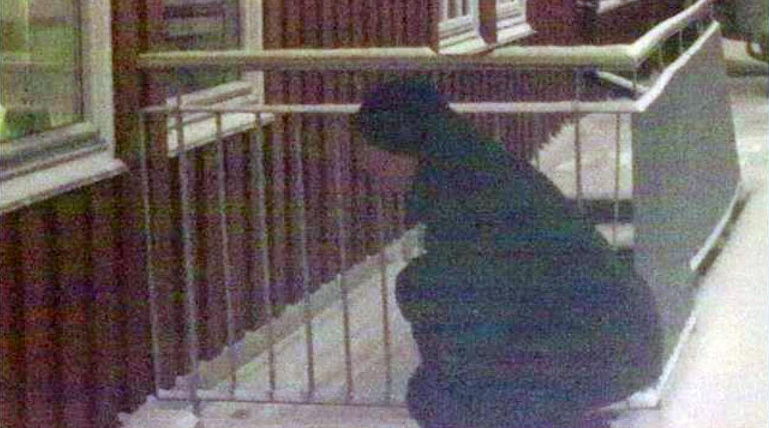 Kikket inn vinduene til unge kvinner i 2018 - skal ha blottet seg igjen ...