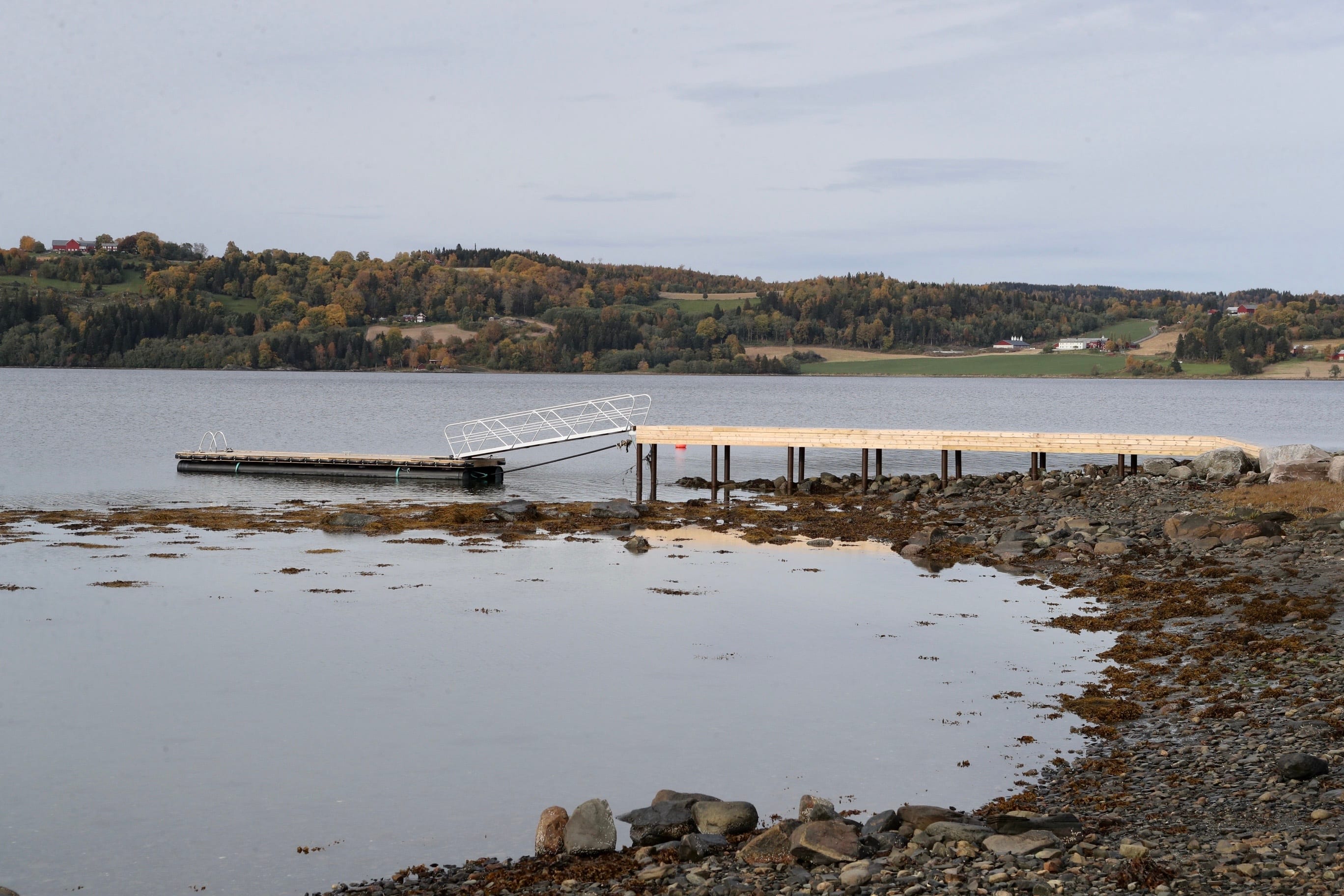 Nå trues bryggeeiere med bøter: – De sier de ikke vil søke - steinkjer24.no