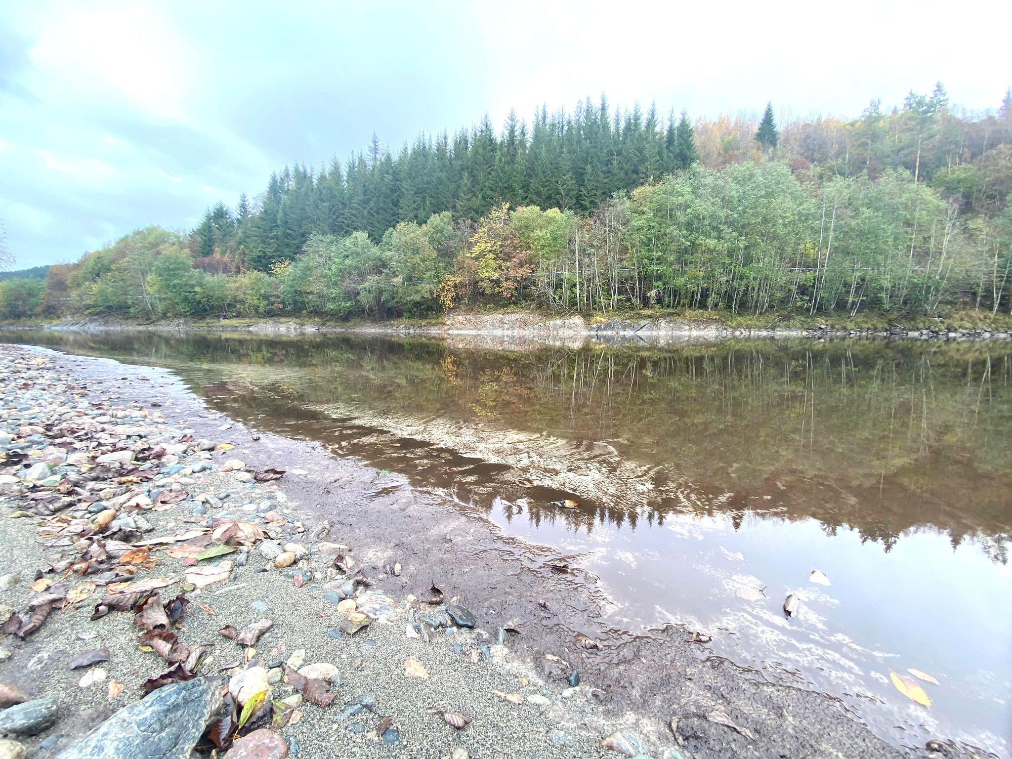 Etterlyser skjøtselsplan for Surna