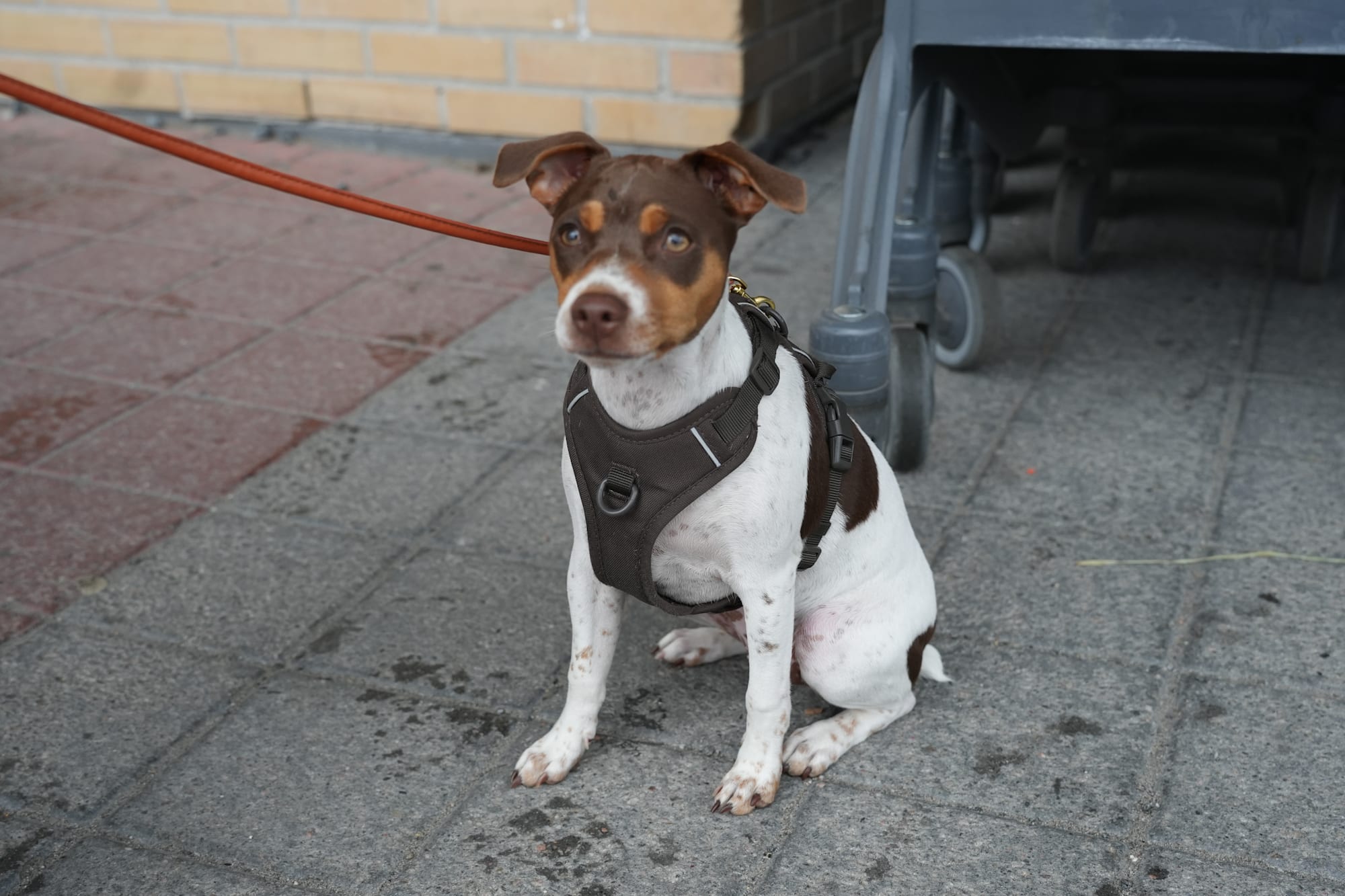 Advarer mot jordveps: – Vi ble livredde