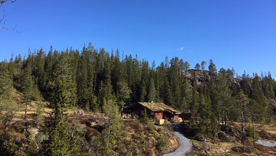Ta en frisk tur rundt Forbordsfjellet - s-n.no