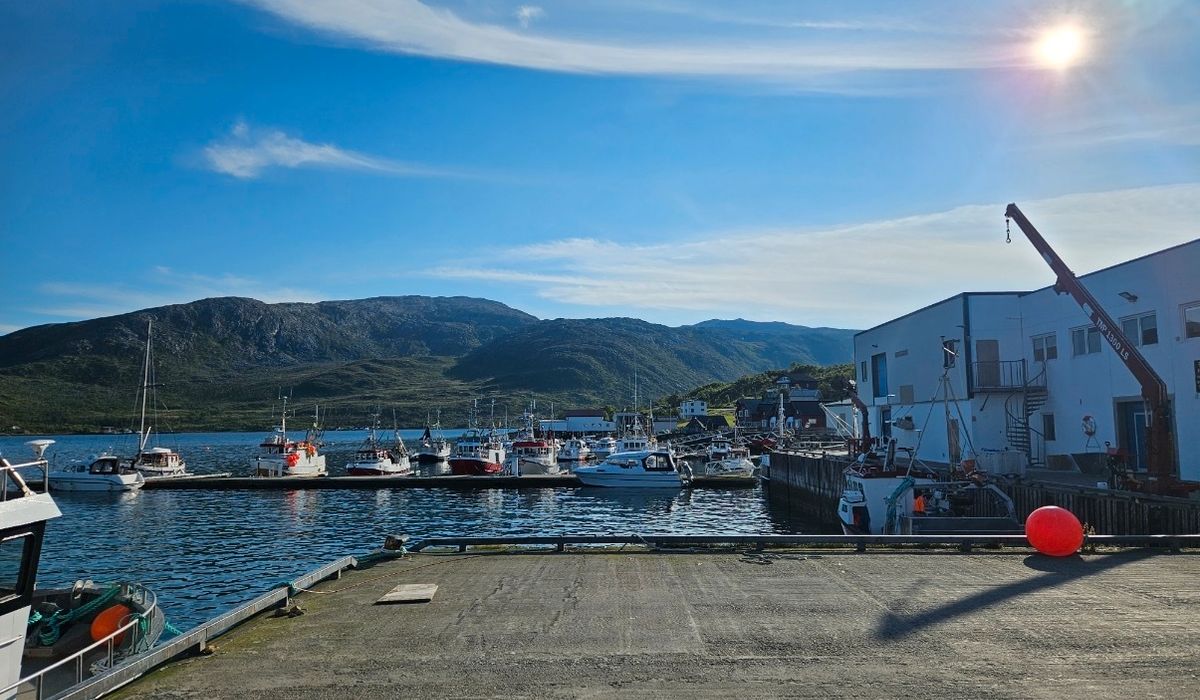 Fikk nok av frekke turister: – De eier ikke respekt - itromso.no Fikk nok av frekke turister: – De eier ikke respekt - itromso.no