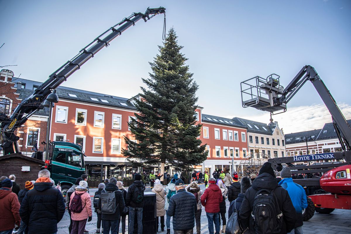 Juletreet på plass på Torvet - fvn.no