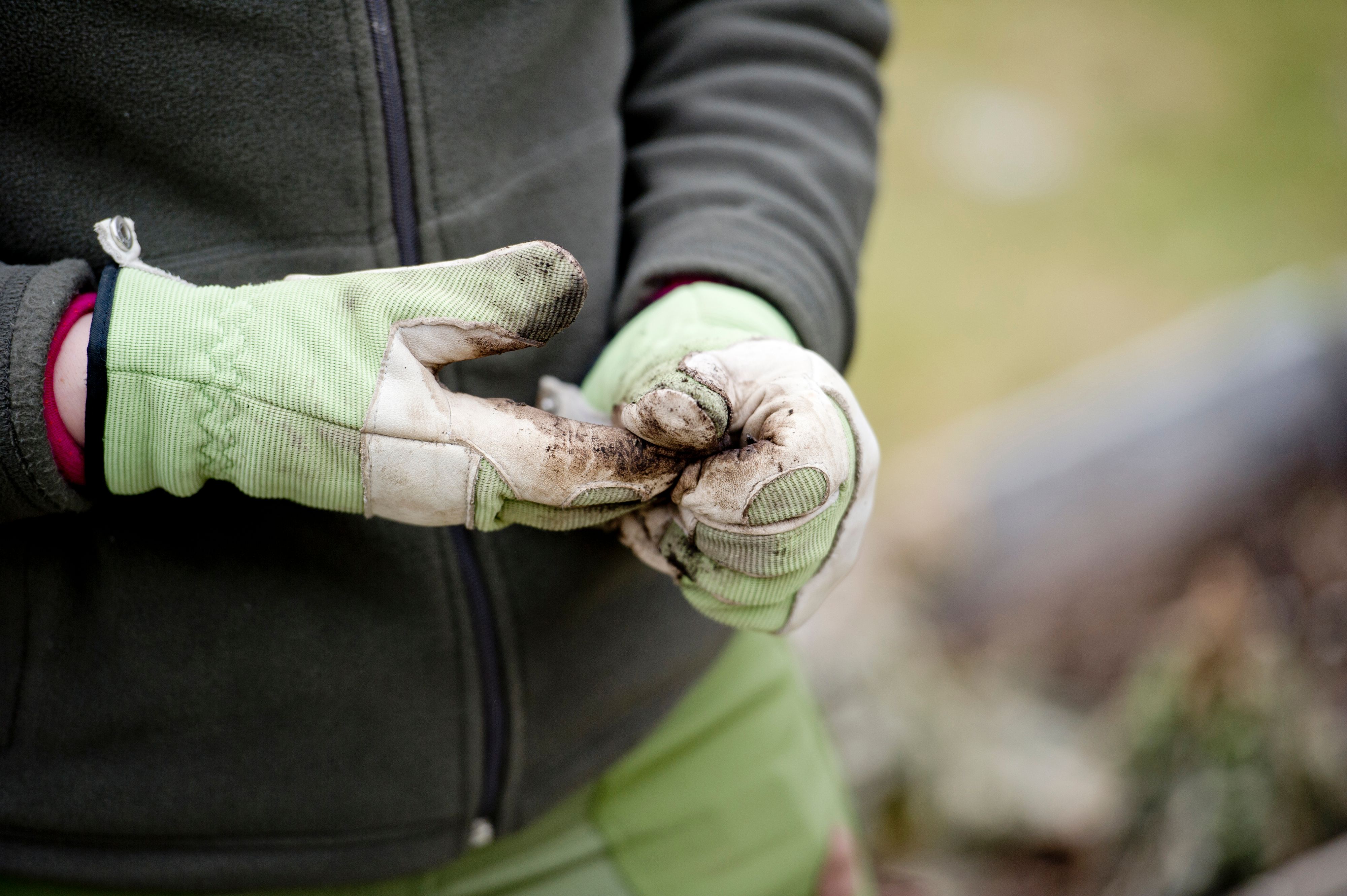 Gruer du deg eller har du grønne fingre? Her er ekspertenes tips til ...