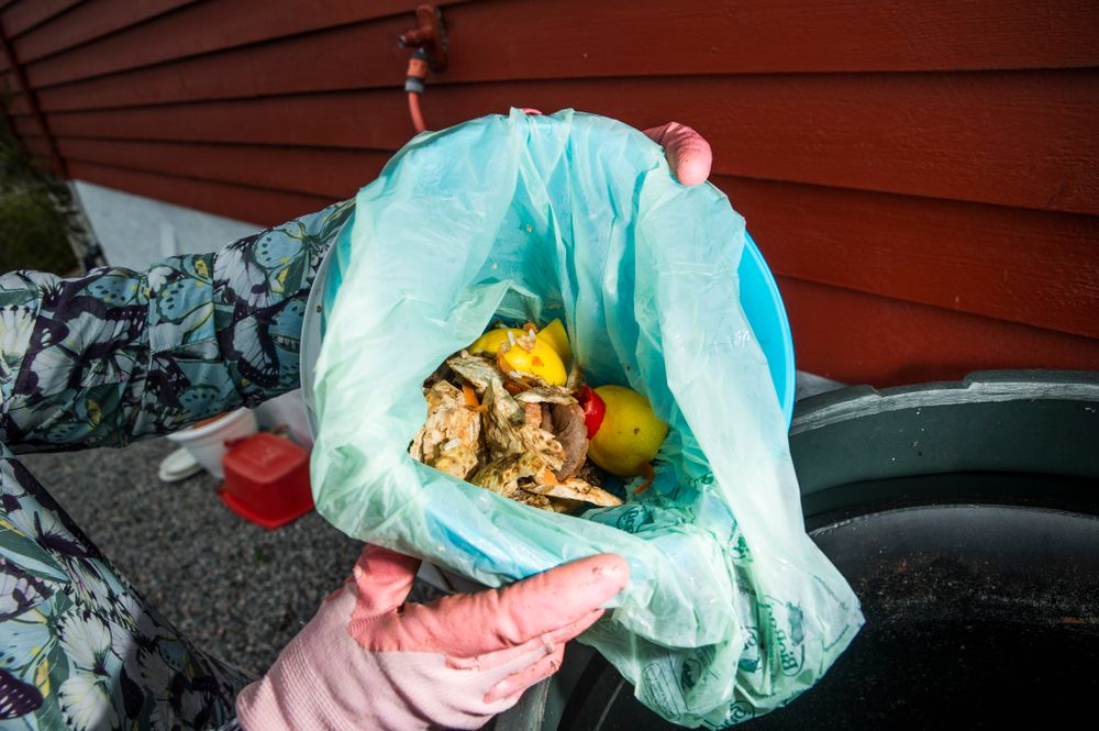 No blir det sortering av matavfall i Sund - vestnytt.no No blir det sortering av matavfall i Sund - vestnytt.no