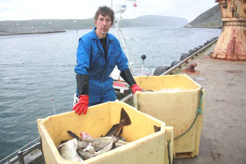 2,5 hyse på stampen - kystogfjord.no