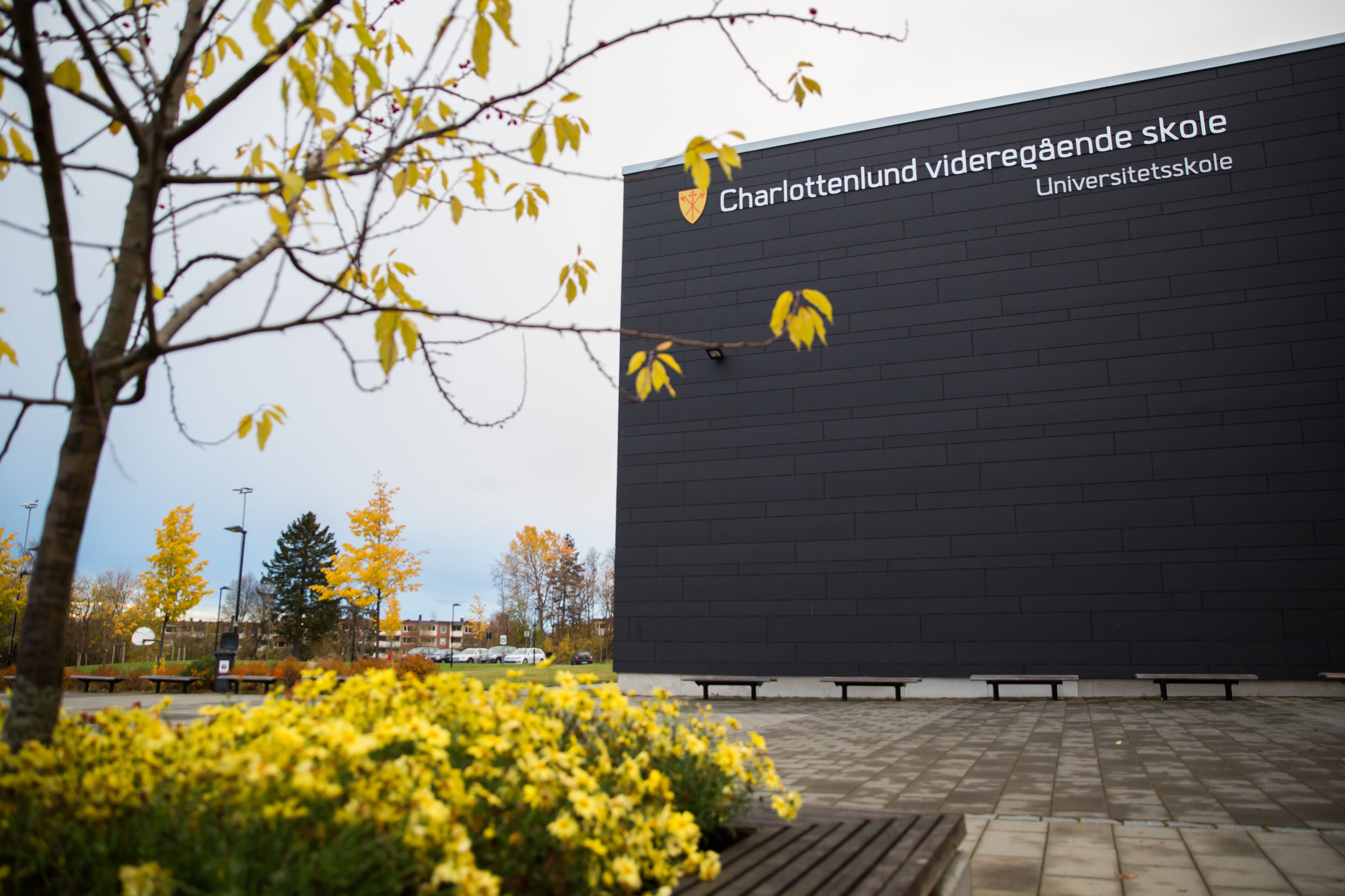 60 elever og sju lærere i testkarantene etter smitte på VGS - adressa.no