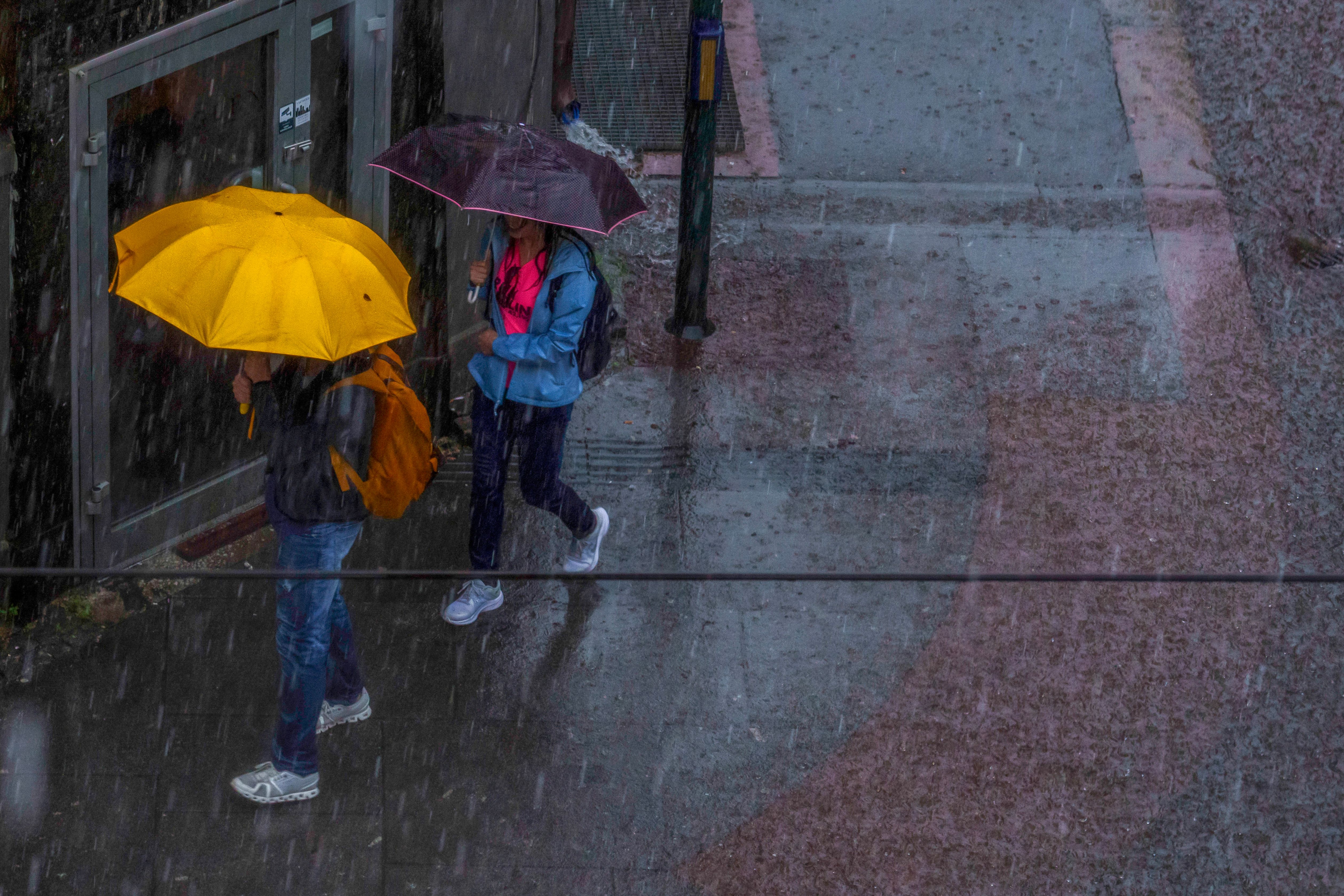 Forecasts rainy and windy Sunday in Southern and Eastern Norway - Archyde