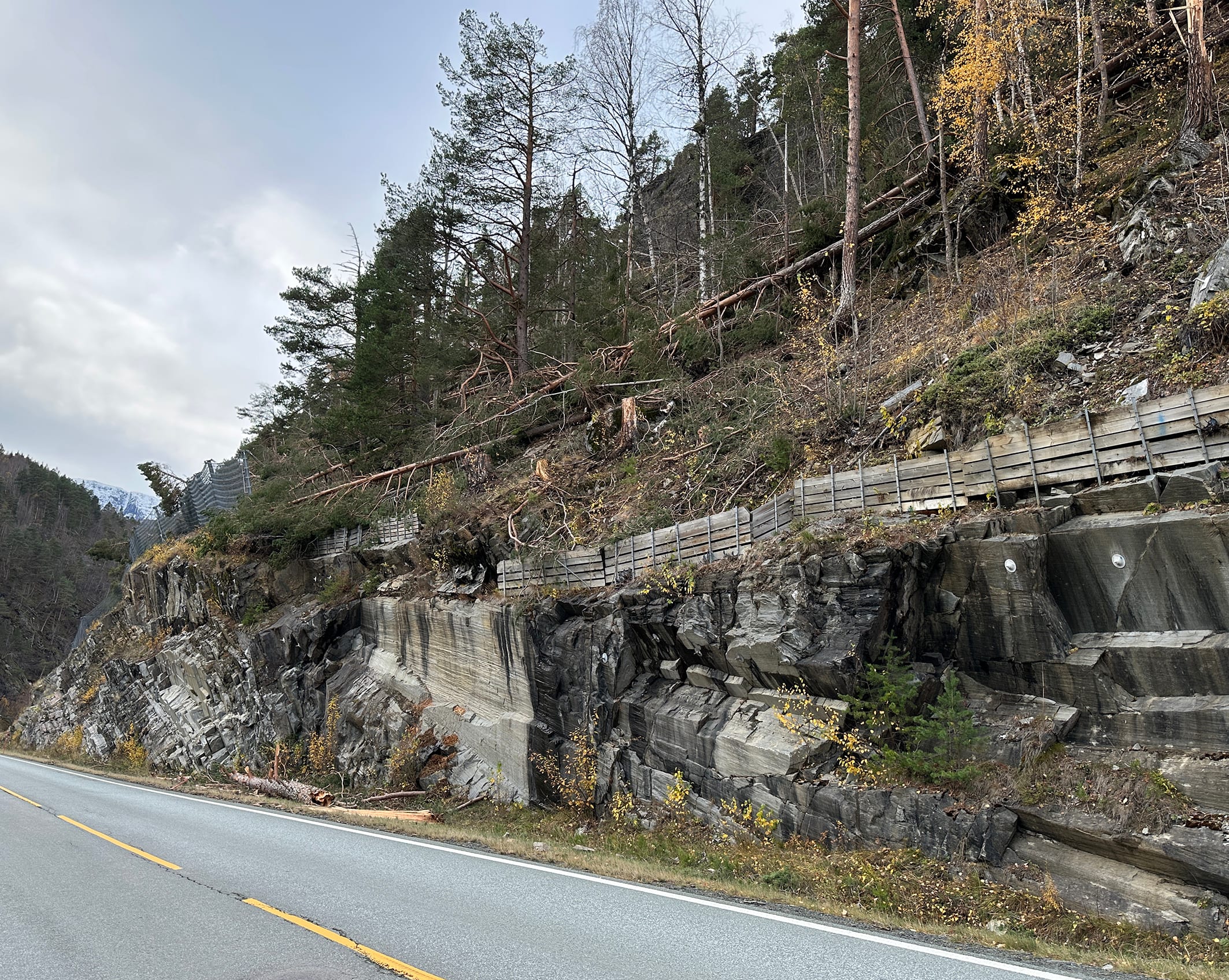 Uværet herjet i Gråura, trær henger ut mot Rv70 - opp.no