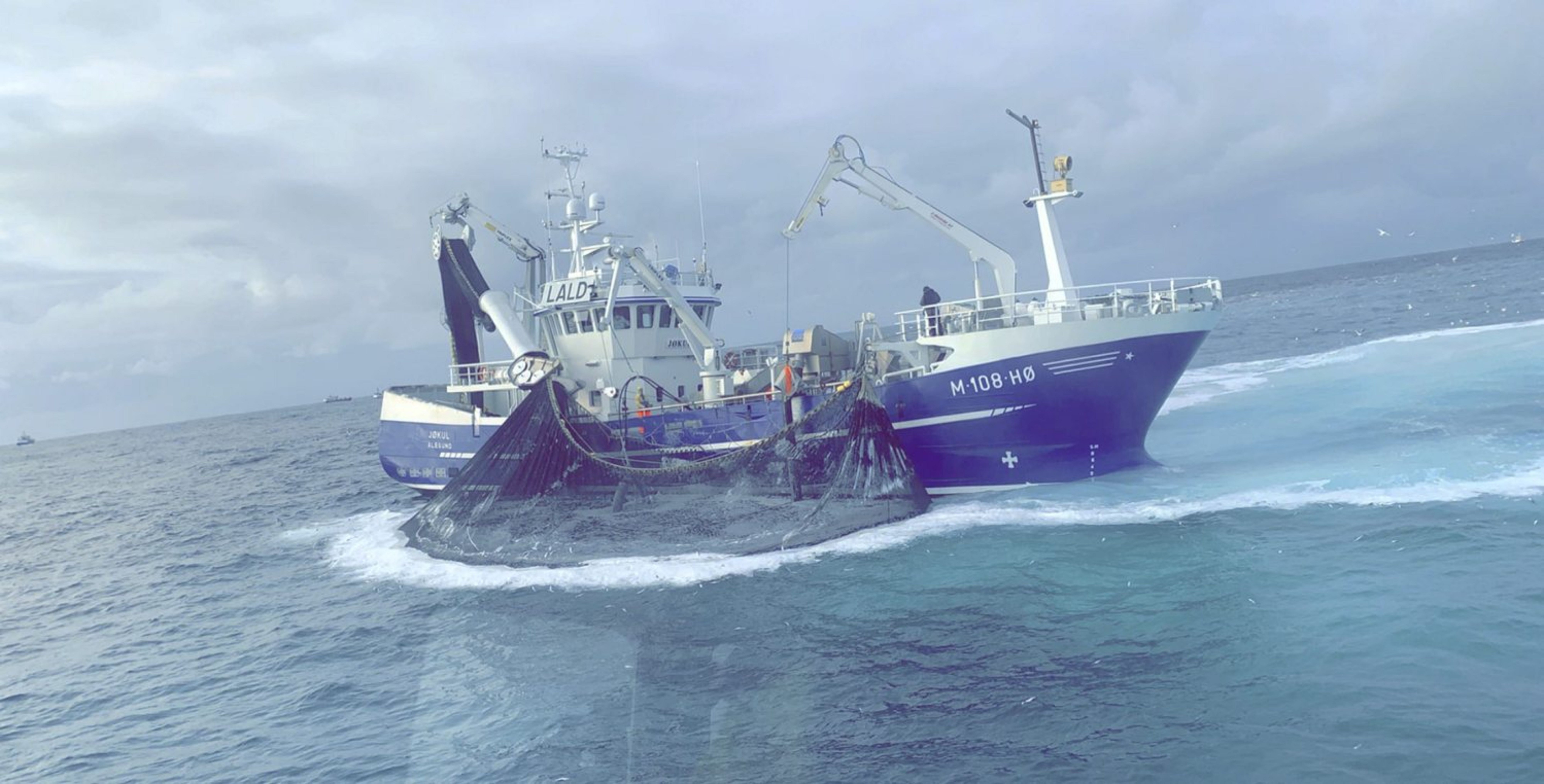 veldig-skuffande-vestlandsnytt-no