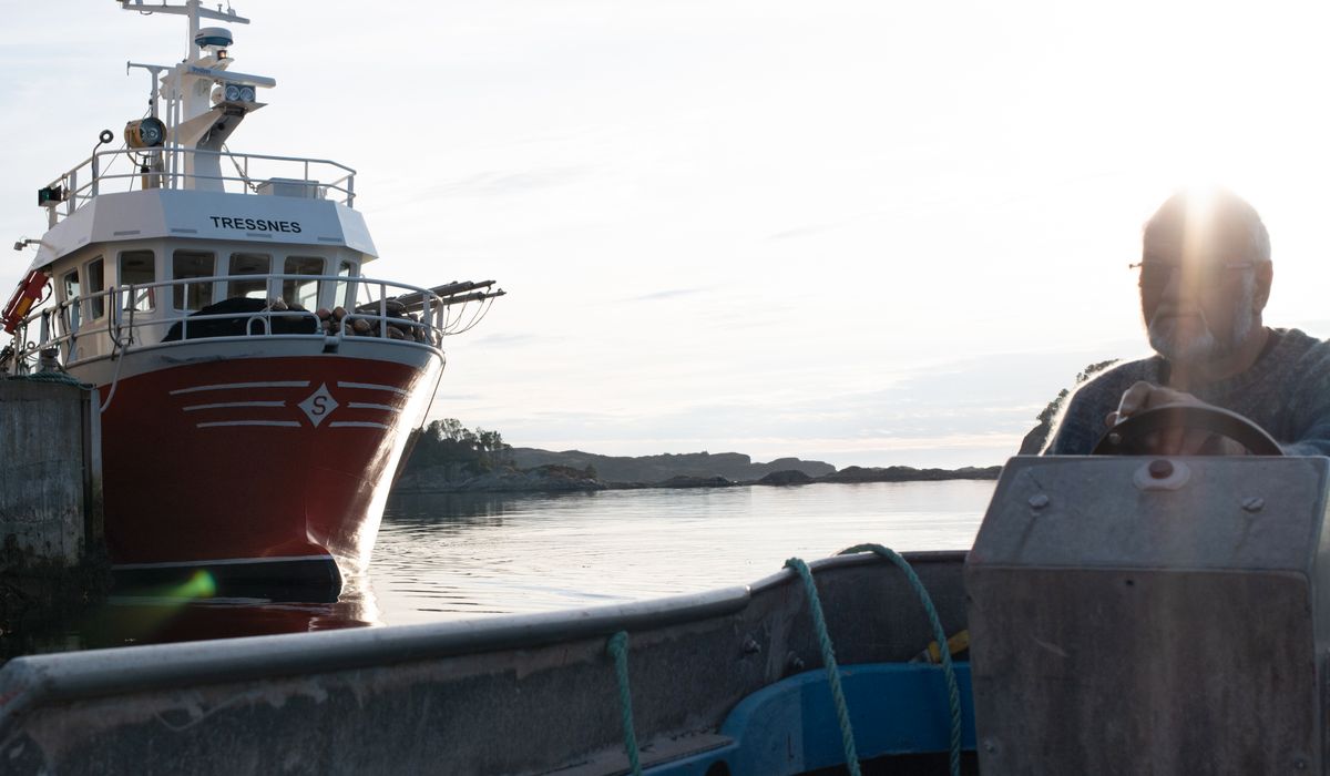 Eventyrleg makrellfiske i år: – Har aldri før vore så intensivt ... Eventyrleg makrellfiske i år: – Har aldri før vore så intensivt ...
