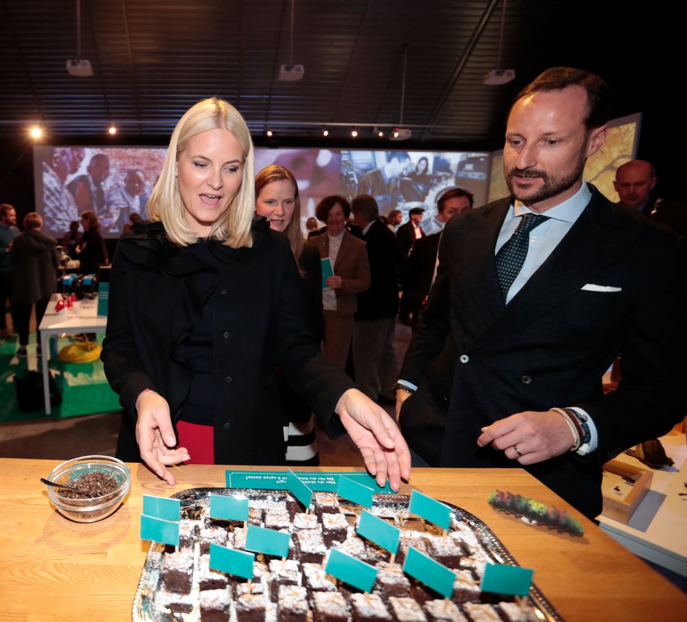 Larvebiff skal redde kloden - itromso.no Larvebiff skal redde kloden - itromso.no