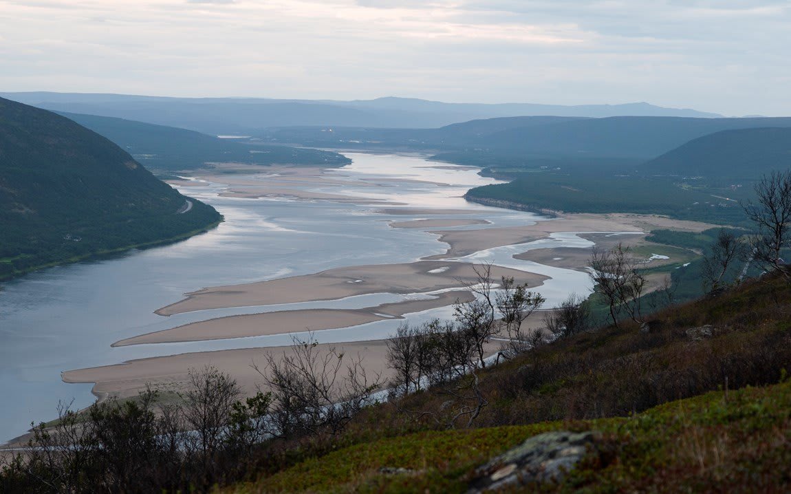 - Loddefiske gir færre storlaks - kystogfjord.no