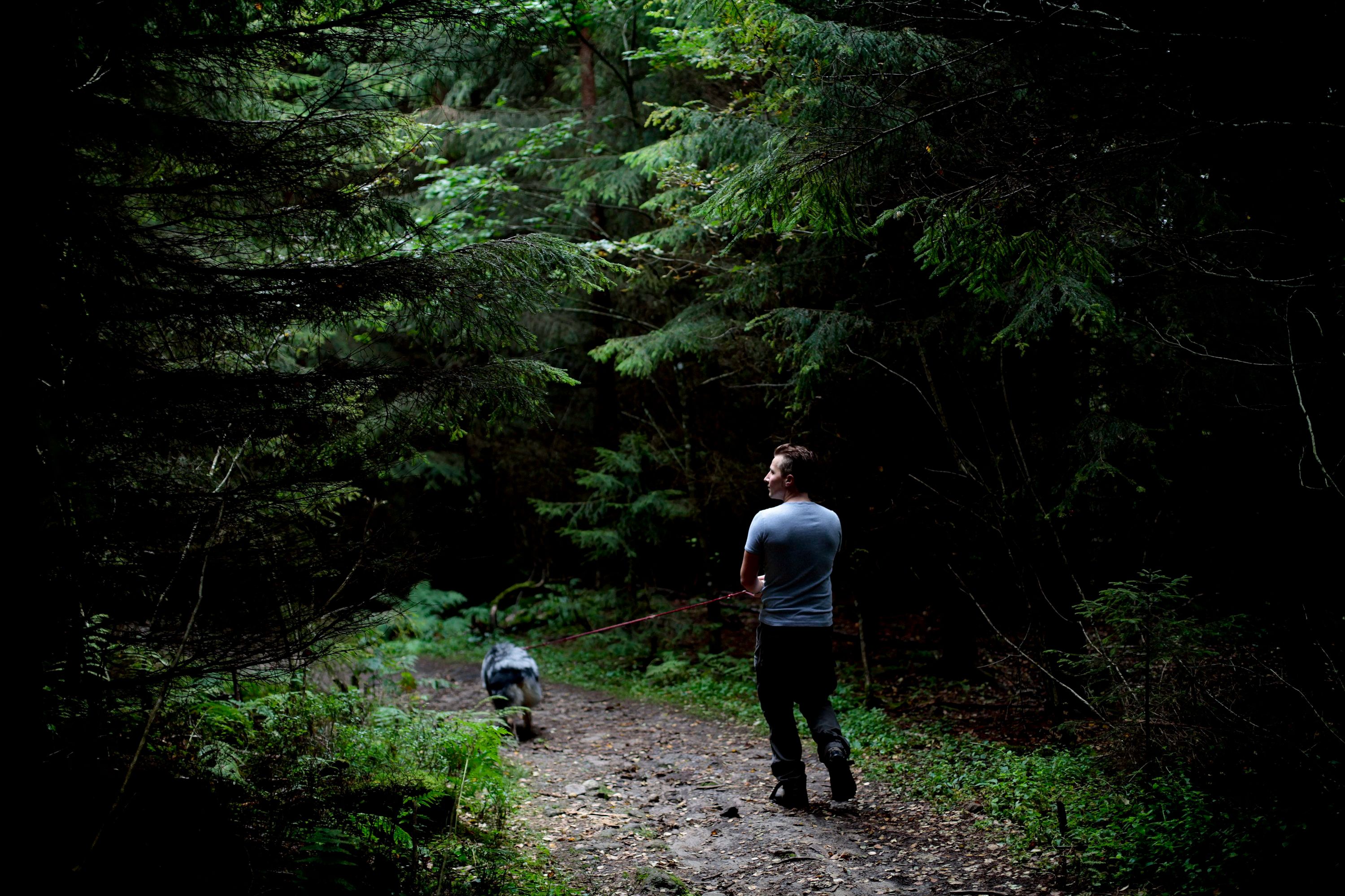 Halvparten av Utøya-overlevende sliter psykisk - adressa.no