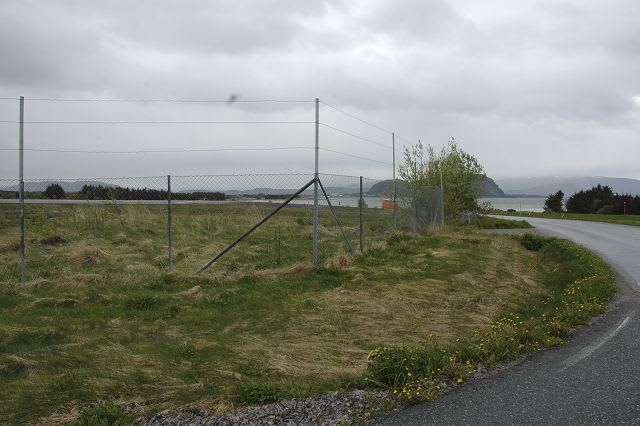 Flytrafikk på Vigra truga - smp.no