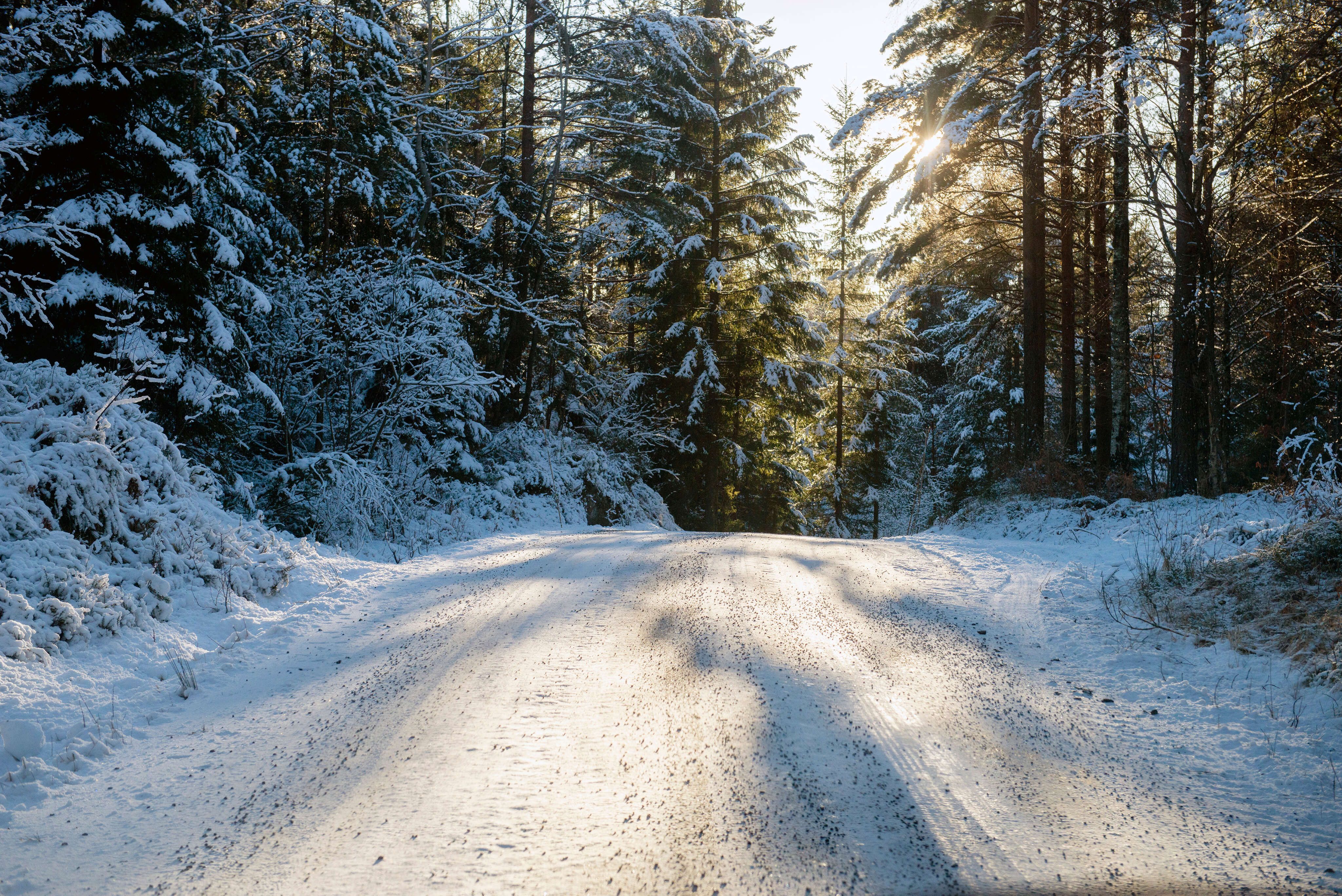 Ber departementet holde fingrene av fatet - lp.no