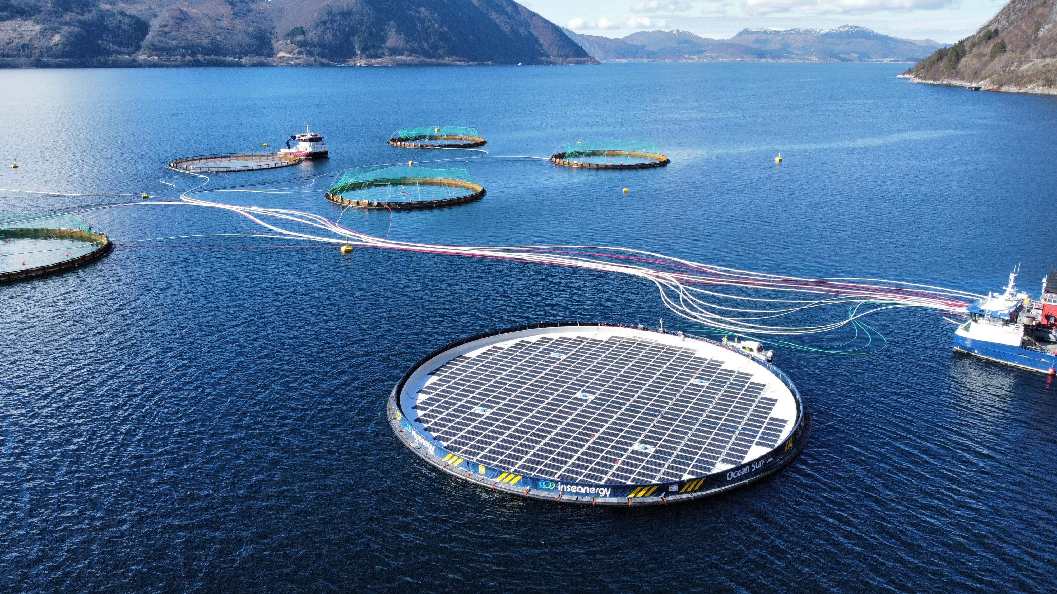 Oppdrettsnæringa: Treng alle verktøy for å kutte utslepp - smp.no