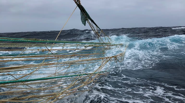 Enighet om totalkvote på NVG-sild og kolmule for 2021 - kystogfjord.no
