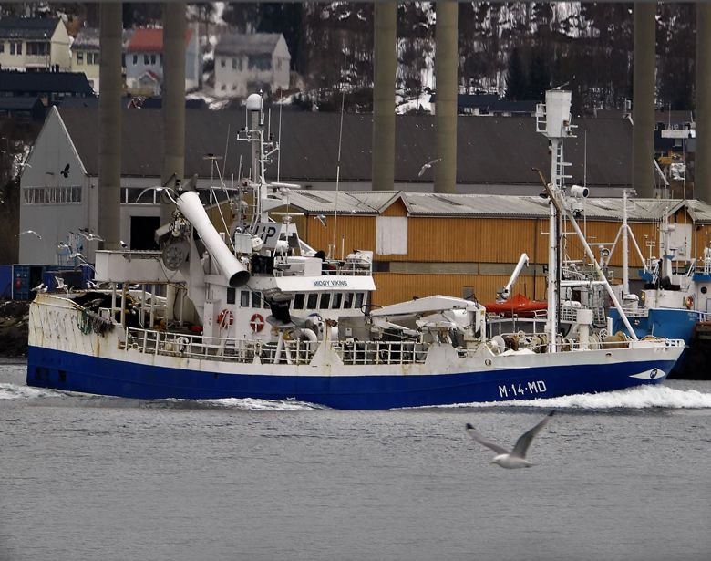 Nesten all lodda gikk til konsum - kystogfjord.no