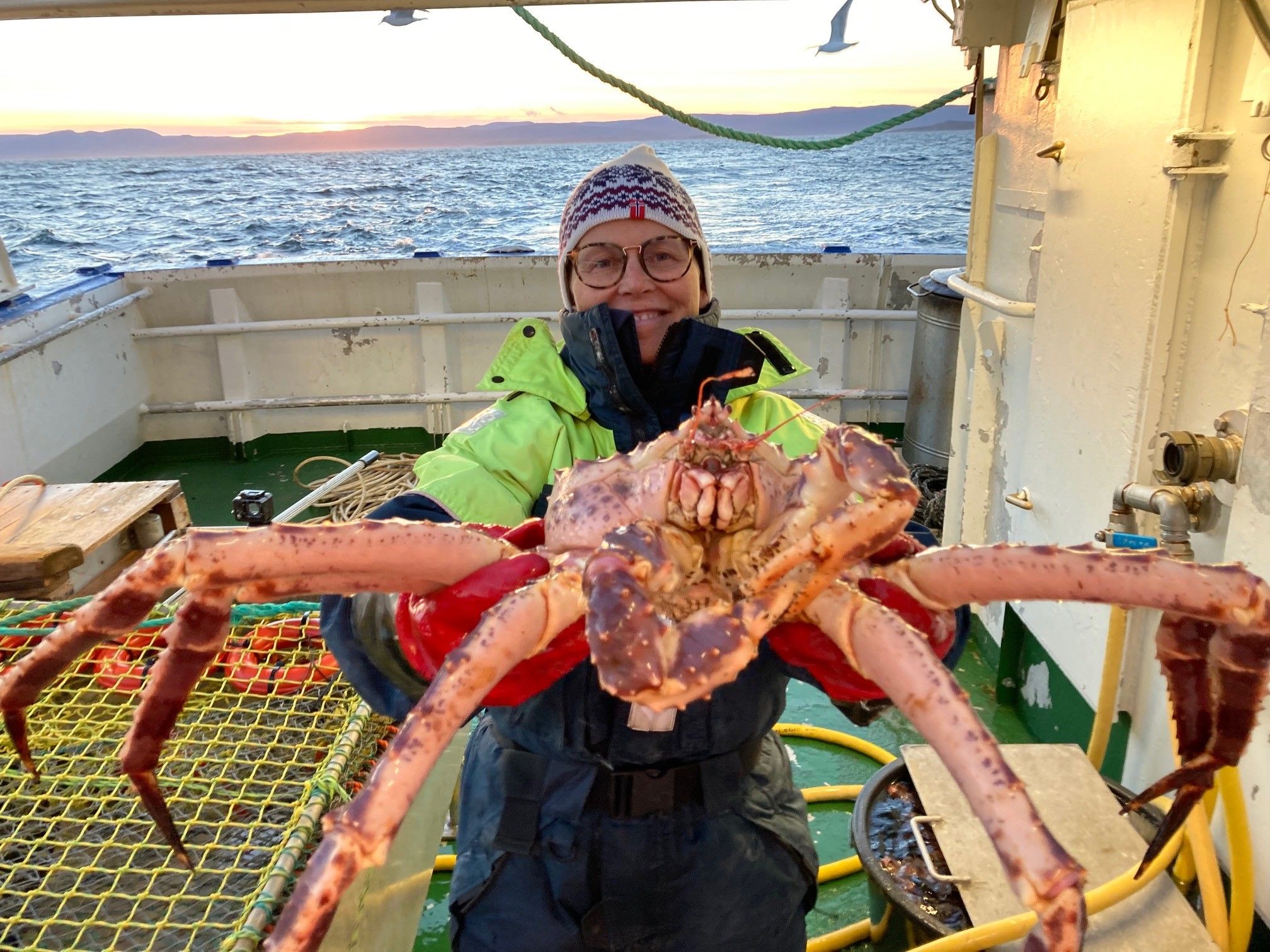 Omsetninga av kongekrabbe krabber oppover - kystogfjord.no