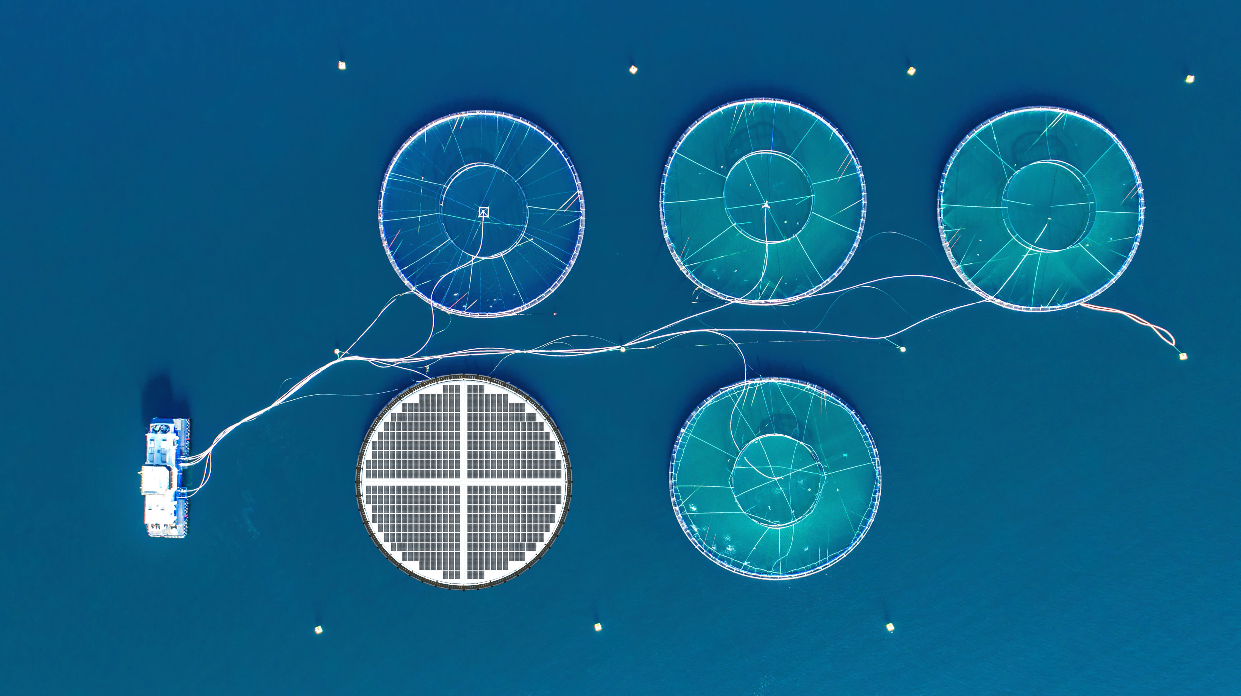 Inseanergy og Gadus Group skal samarbeide - smp.no