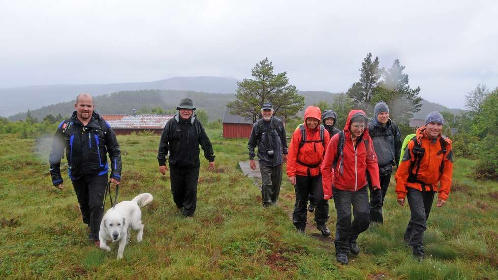 Regnvåt tur til Bjørnetua - rbnett.no