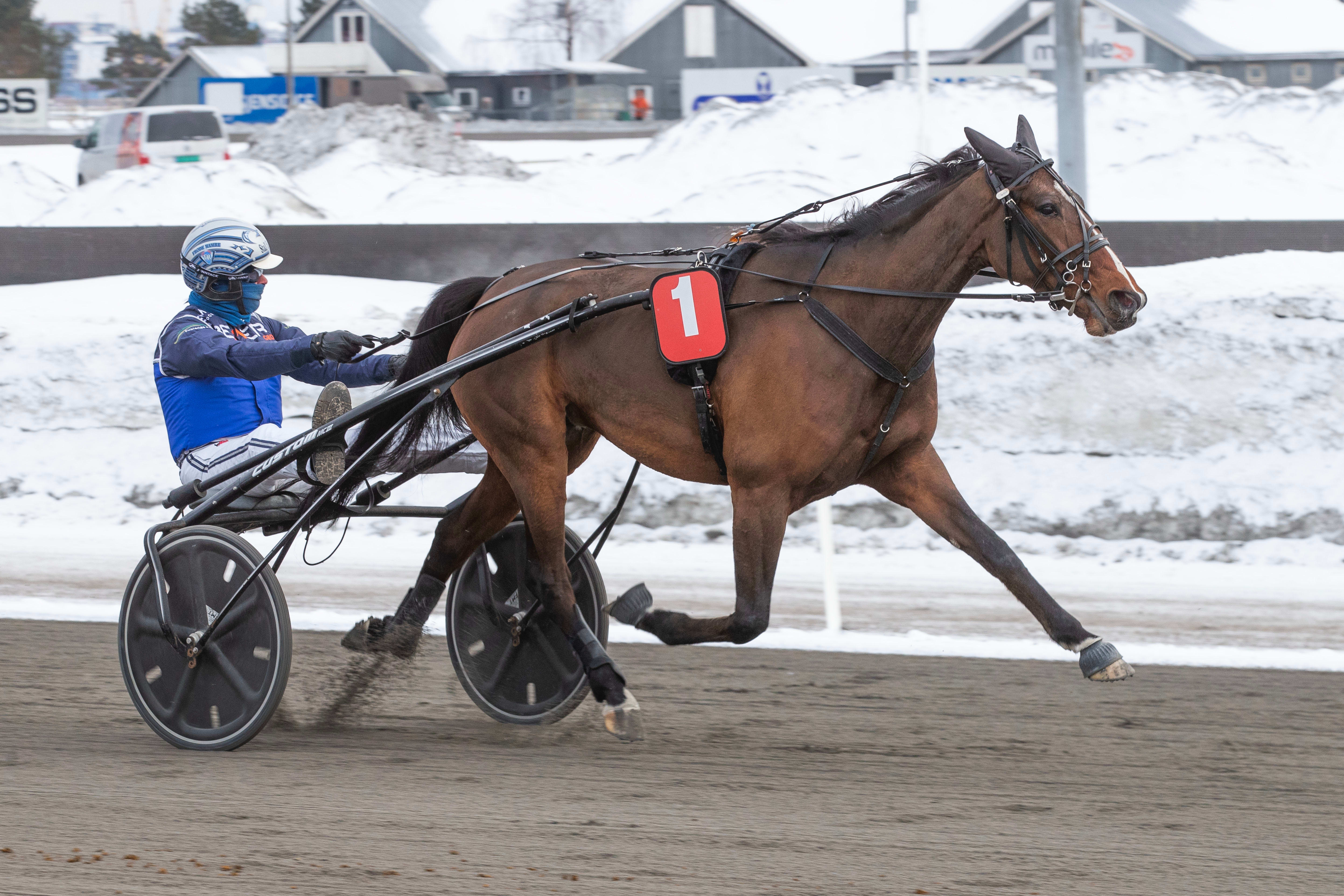 Vant i første forsøk - varden.no