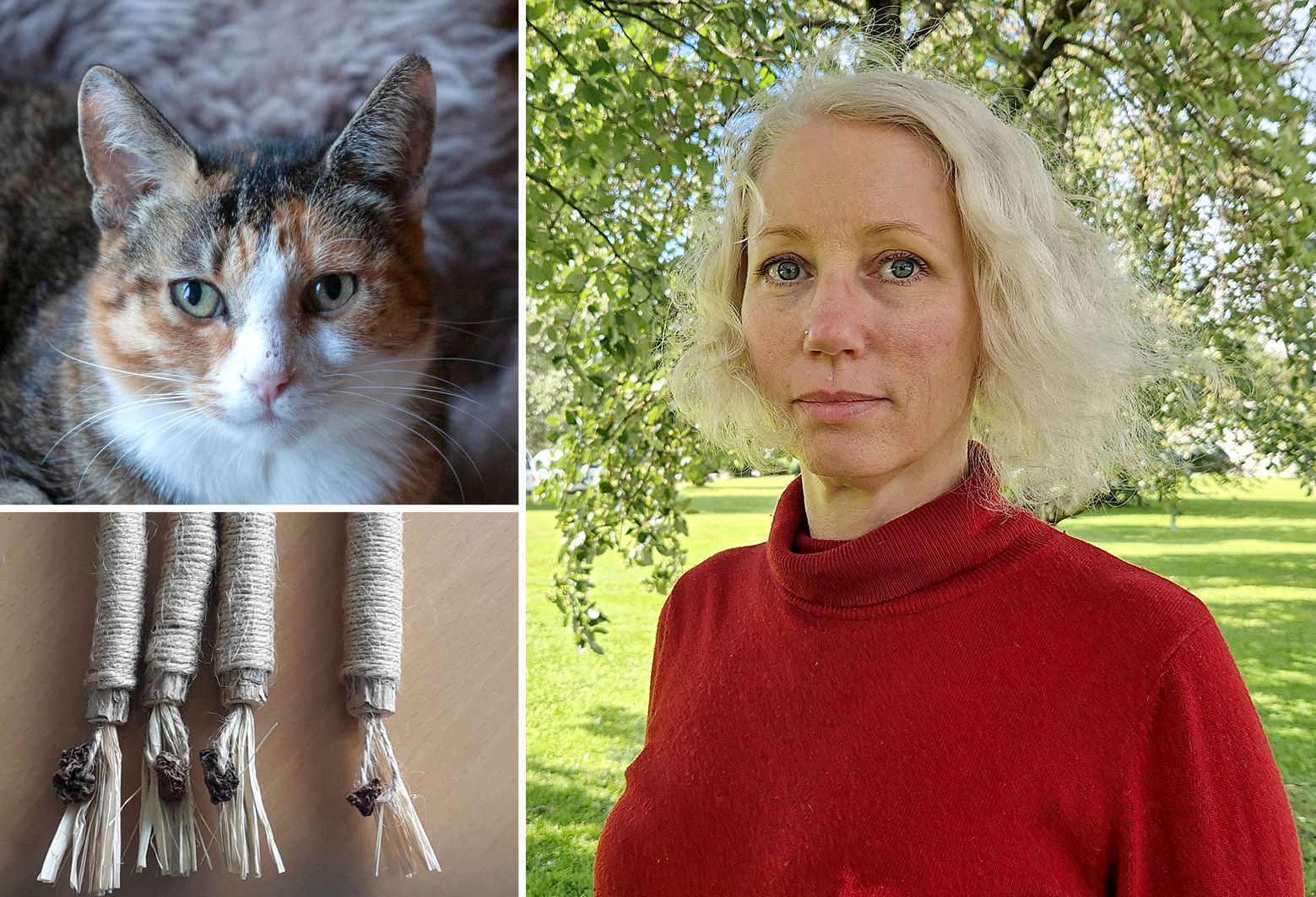 Katten Susi døde etter å ha fått bit fra tyggepinne i halsen. Nå ...
