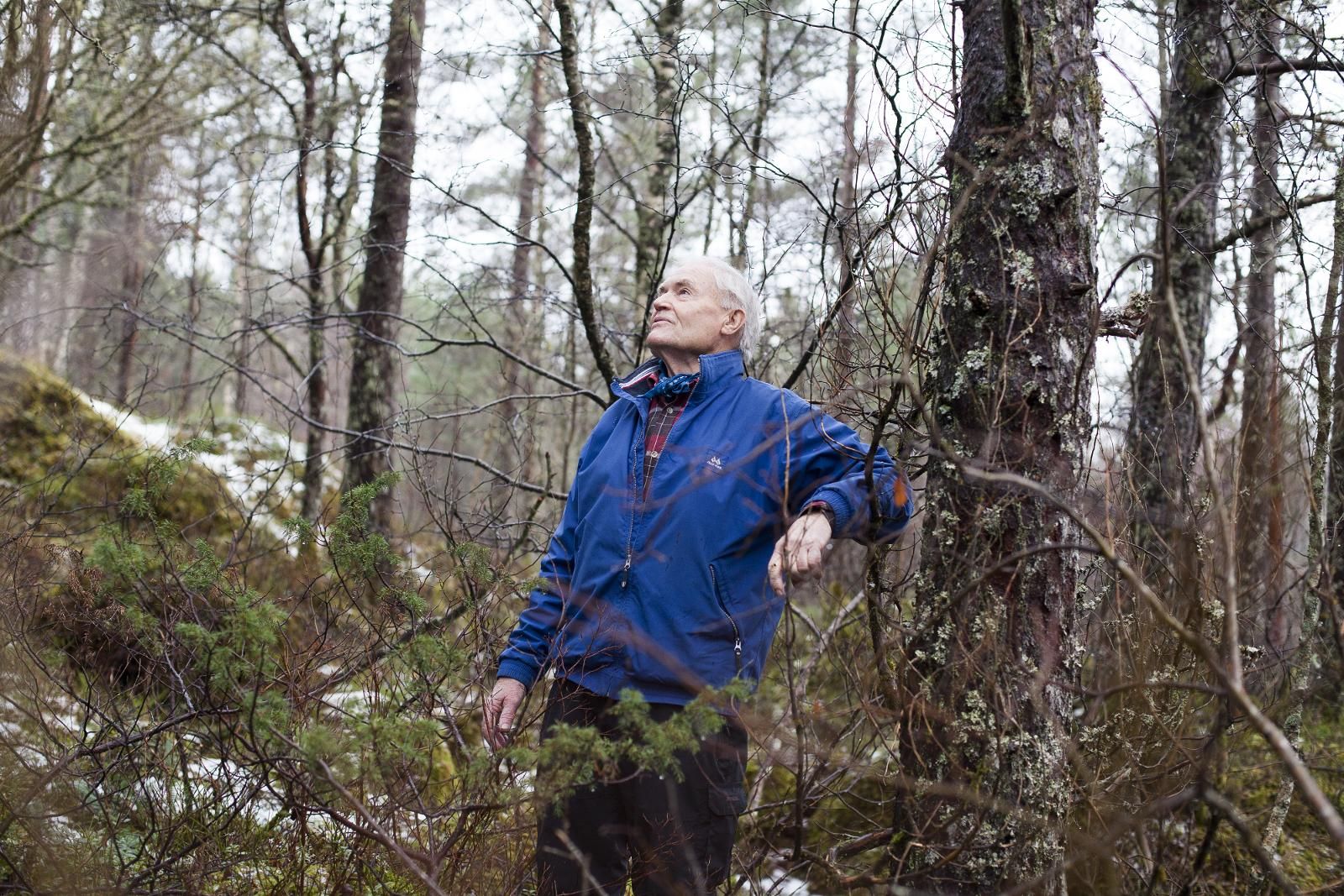 Ryddar stiar for å få fleire ut i naturen - bygdanytt.no