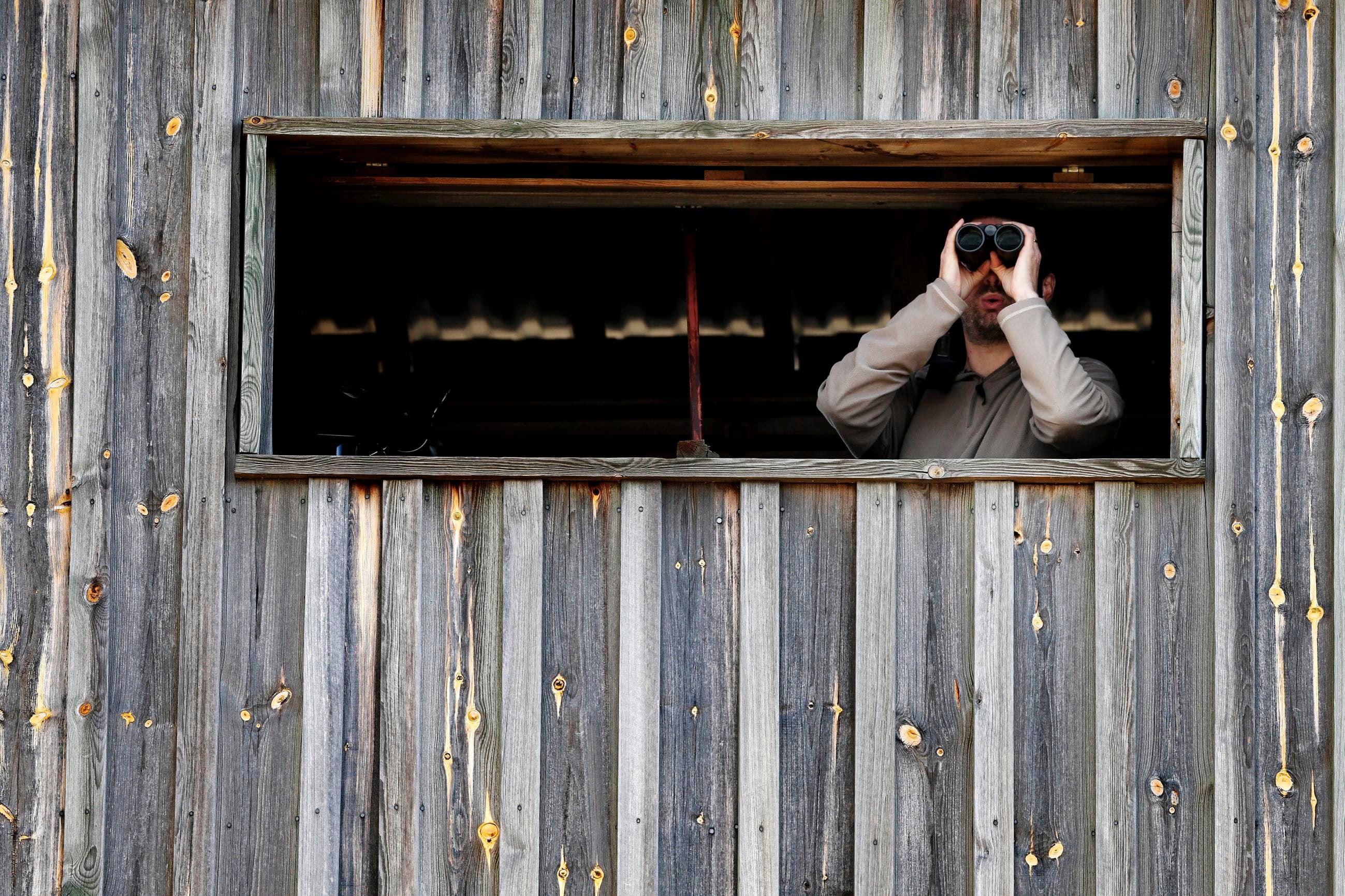 Så nesten 50.000 grågås på trekk - smp.no