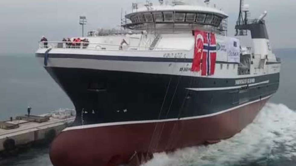 Olympic Prawn - fjt.no