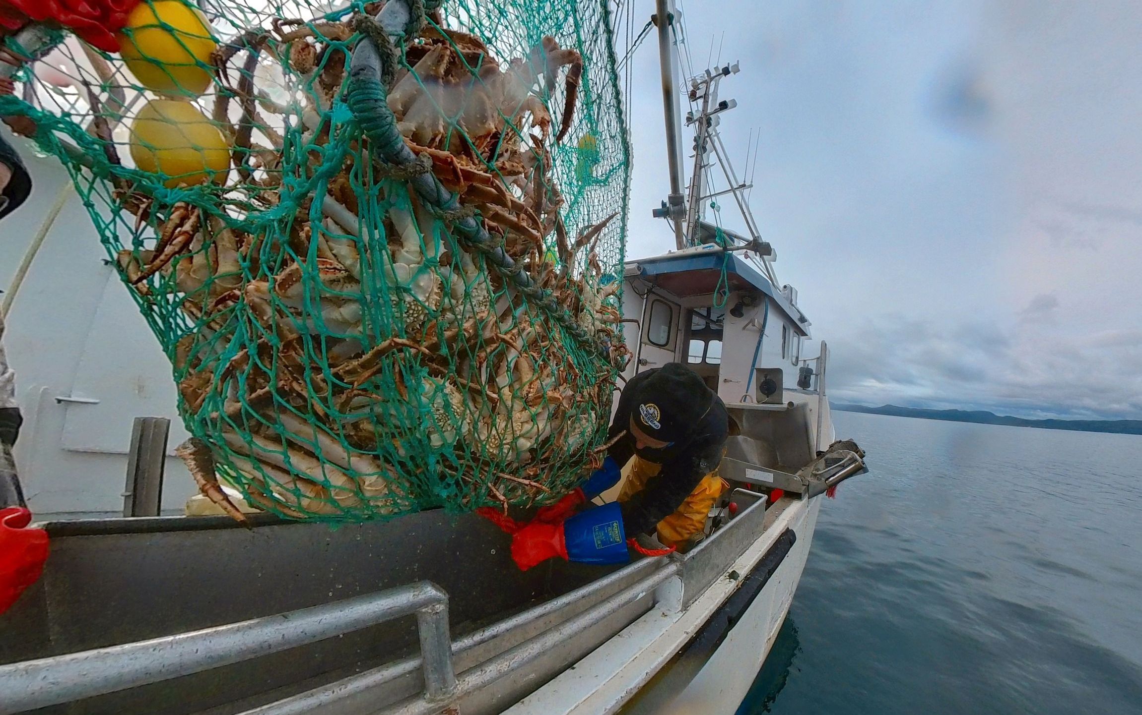 Sitter med store lagre usolgt krabbe - kystogfjord.no