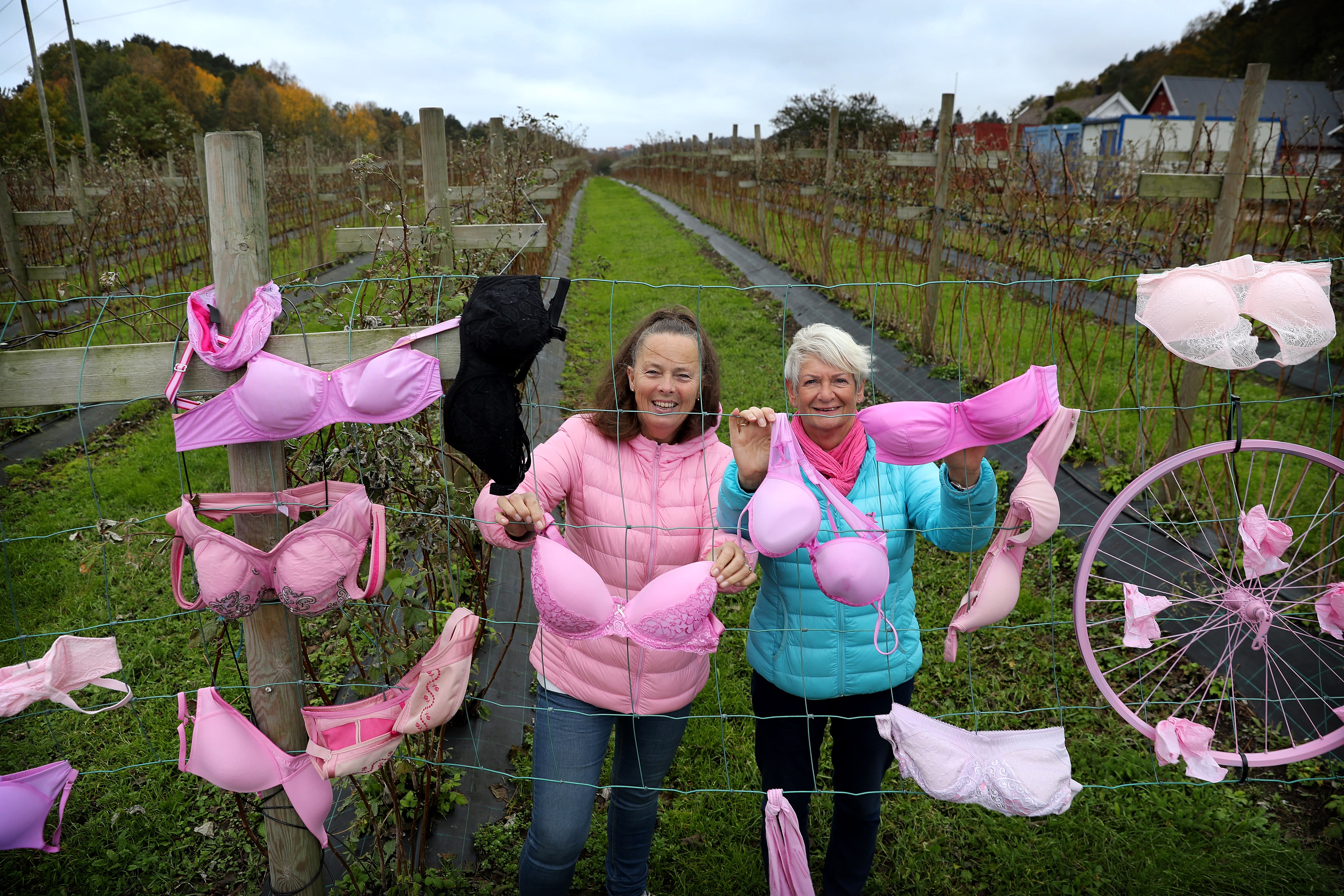 Rosa bh-aksjon vekker oppsikt - fvn.no