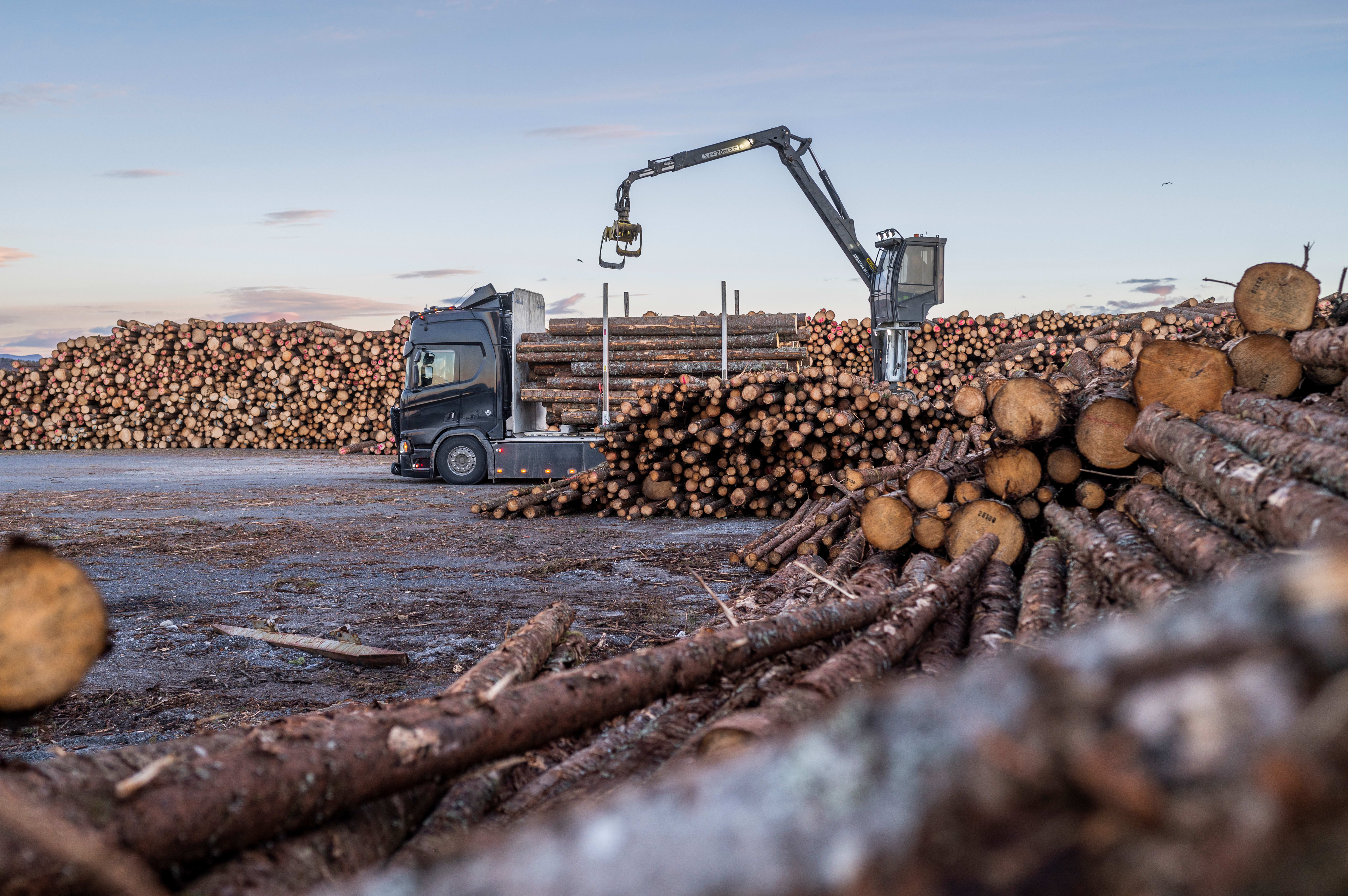 Lastet 3.000 kubikk­meter tømmer på en dag, og mer skal det bli - banett.no