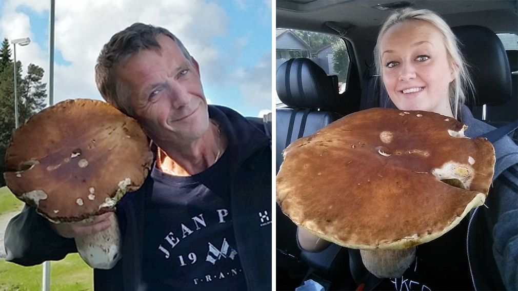 Aldri før har han sett så stor steinsopp - adressa.no