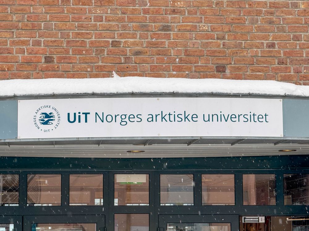 Rotet bort kunst for tusenvis av kroner - ht.no Rotet bort kunst for tusenvis av kroner - ht.no