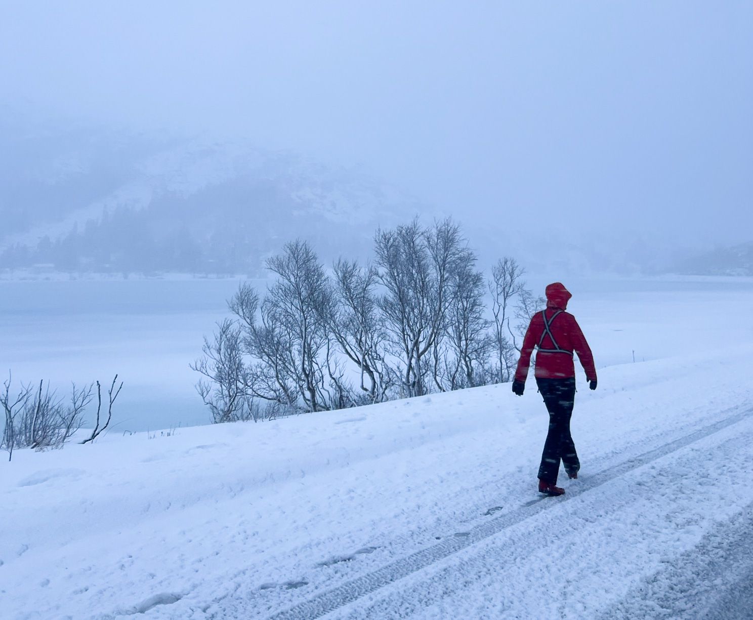 Kuling, sludd, regn og et lite gløtt av sol - vaganavisa.no