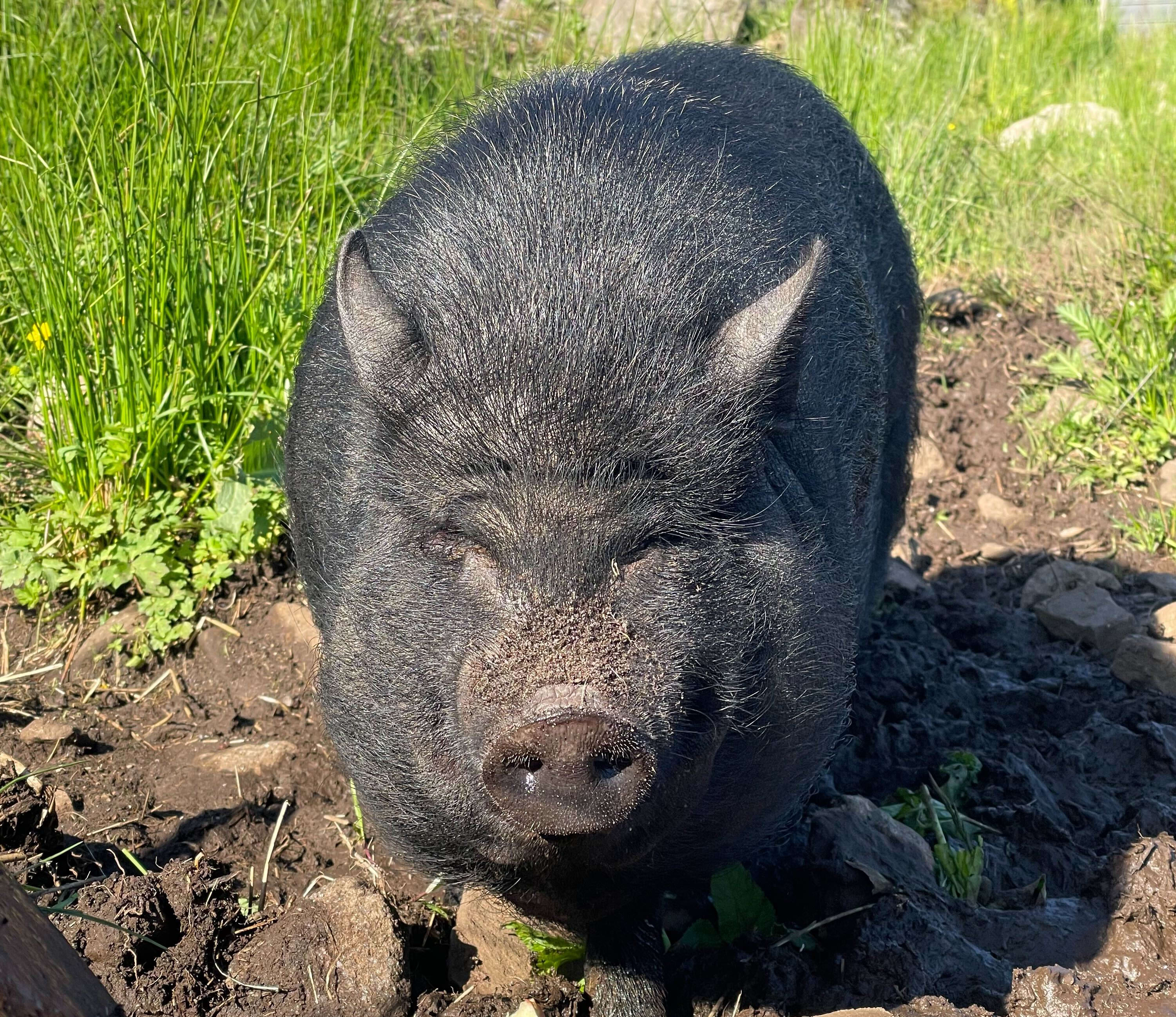 Turid-Bentes morgentur førte til politi­utryk­ning - varden.no