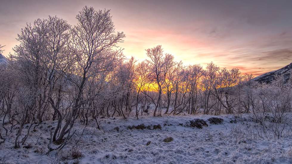 I dag blir det for det meste skyet - vol.no