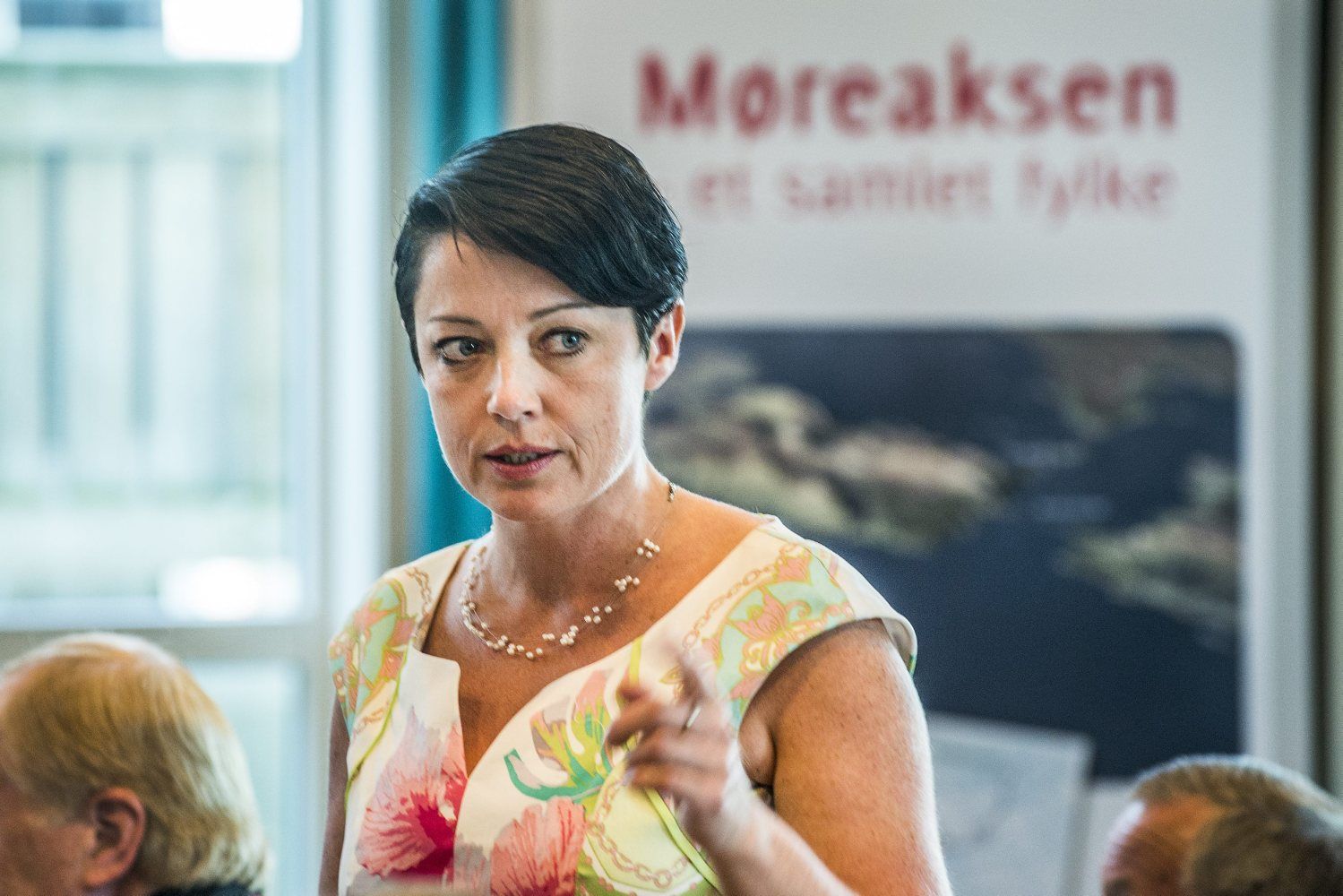 Botten blir ny fylkesmann - smp.no