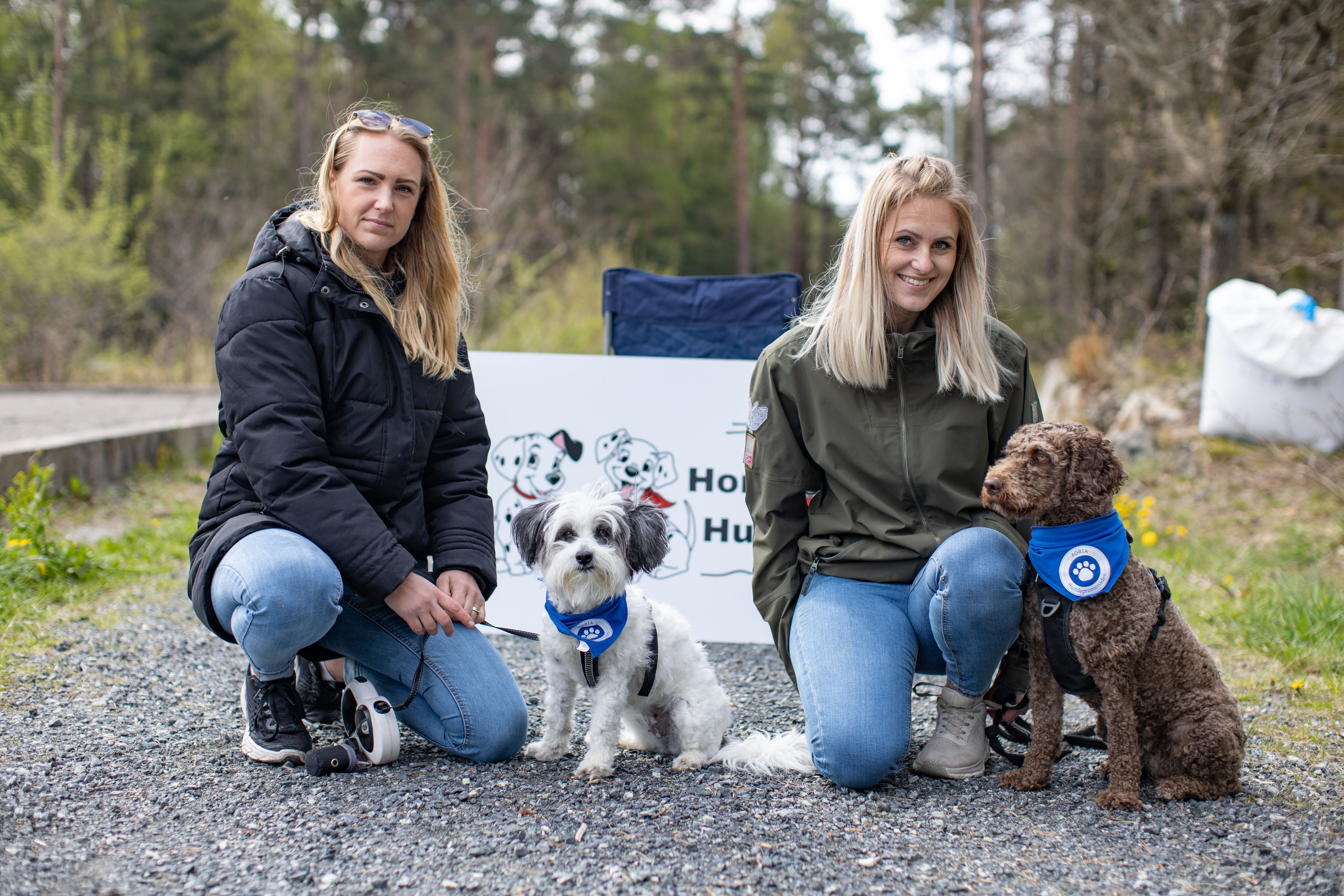 Jobber med park hvor firbeinte kan løpe fritt - gat.no